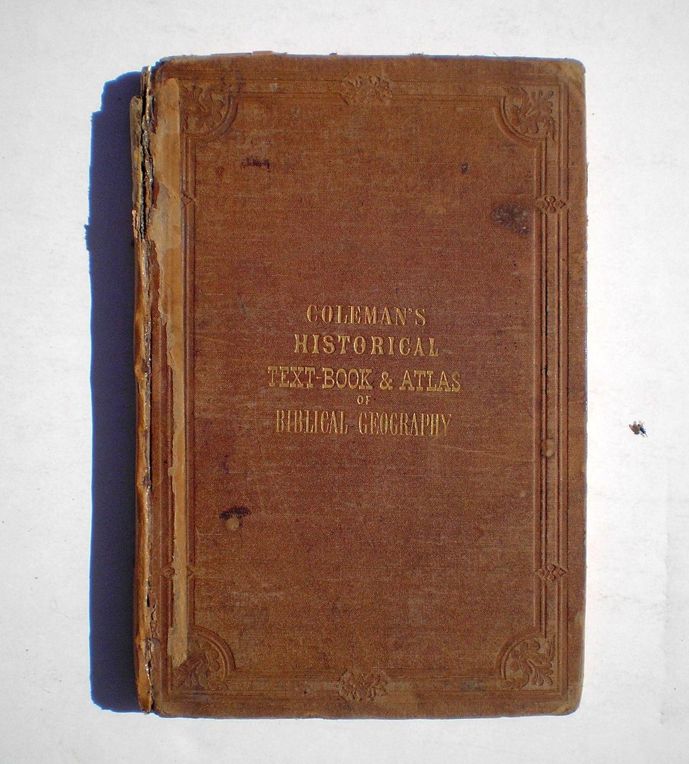 An historial text book and atlas of biblical geography: Coleman, Lyman ...