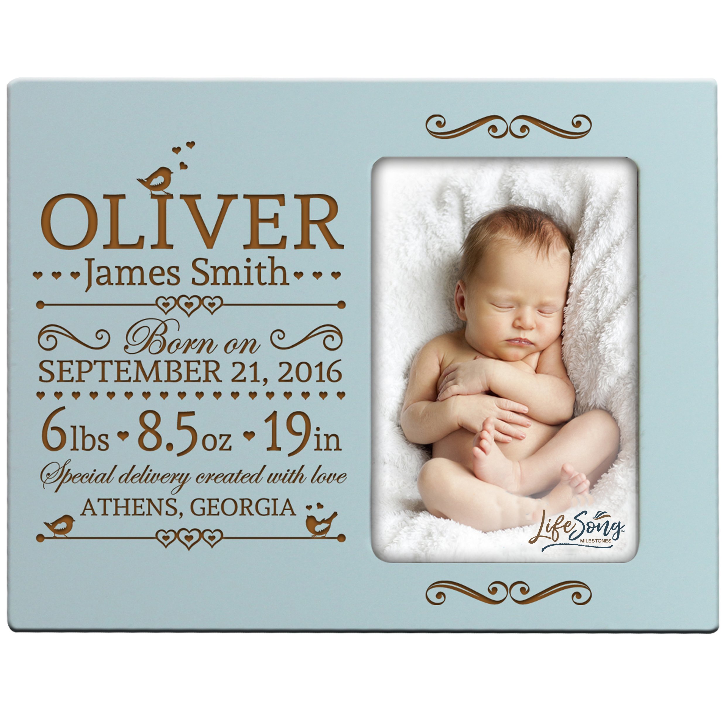 Amazon.com: LifeSong Milestones New Baby Birth Announcement Picture ...