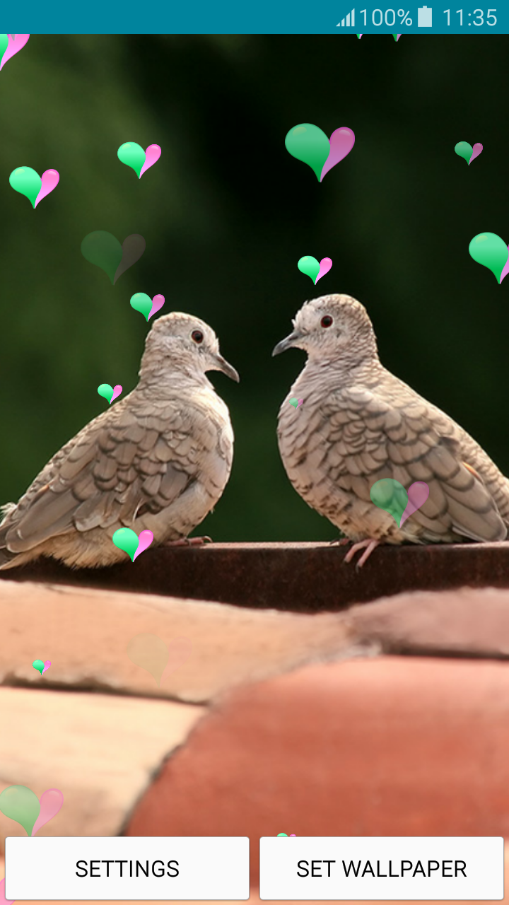 Live Wallpapers – Doves - App on Amazon Appstore