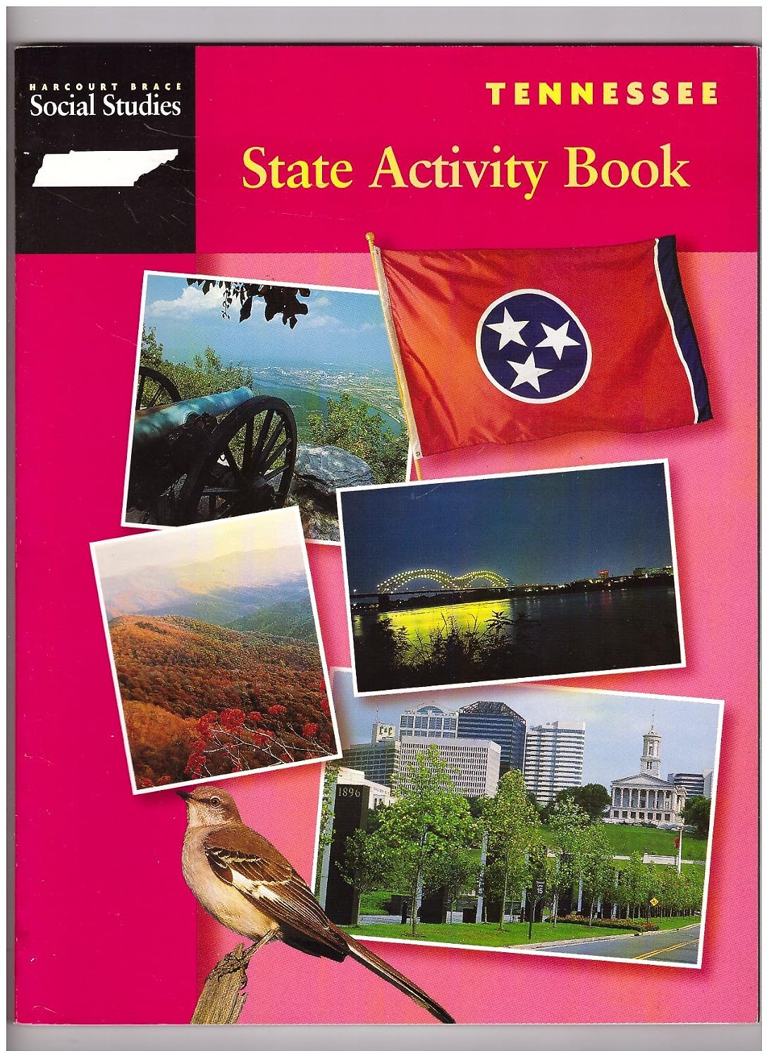 Tennessee State Activity Book Gr4 Hbss00: HSP: 9780153215629: Amazon ...