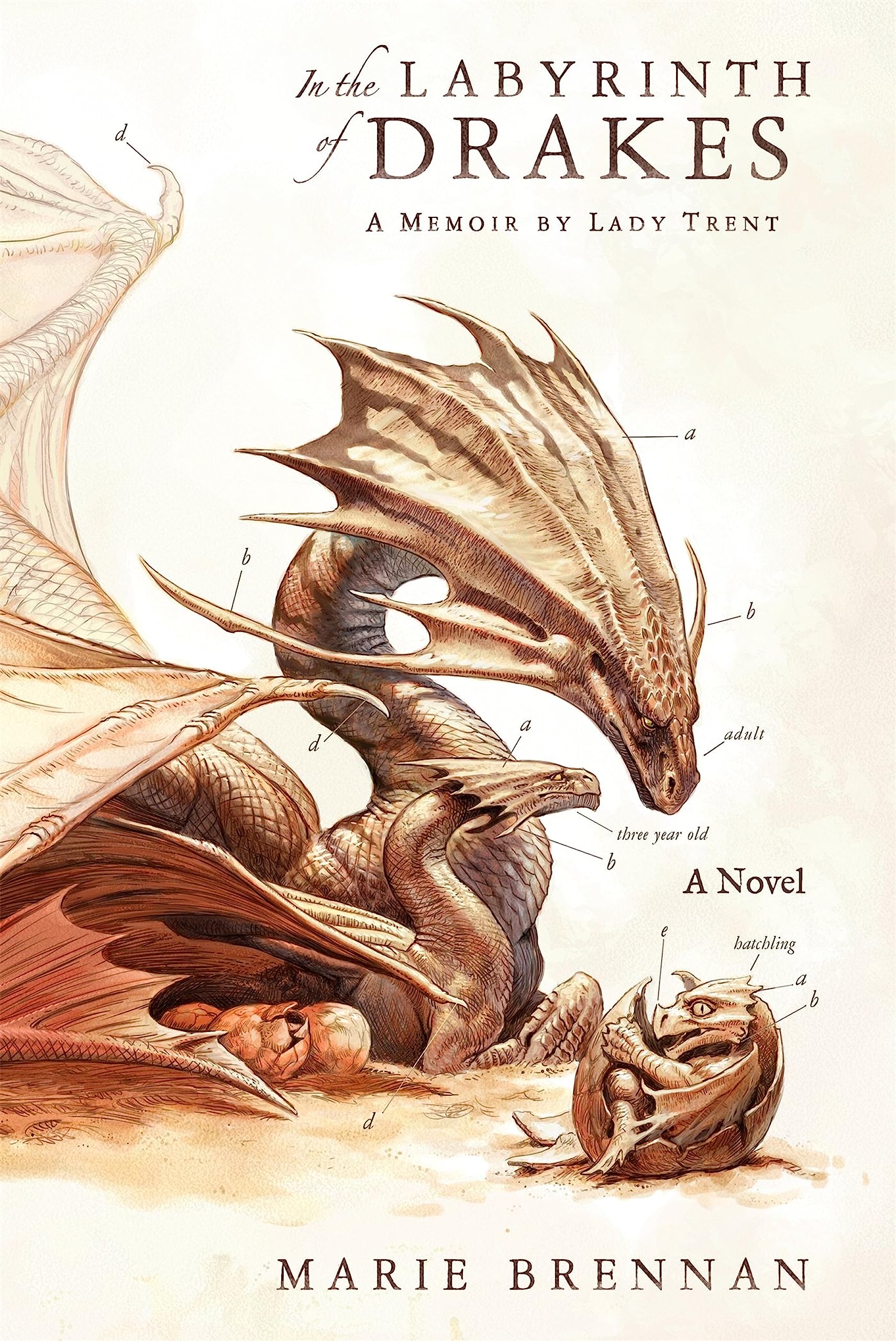 In the Labyrinth of Drakes: A Memoir by Lady Trent (A Natural History ...