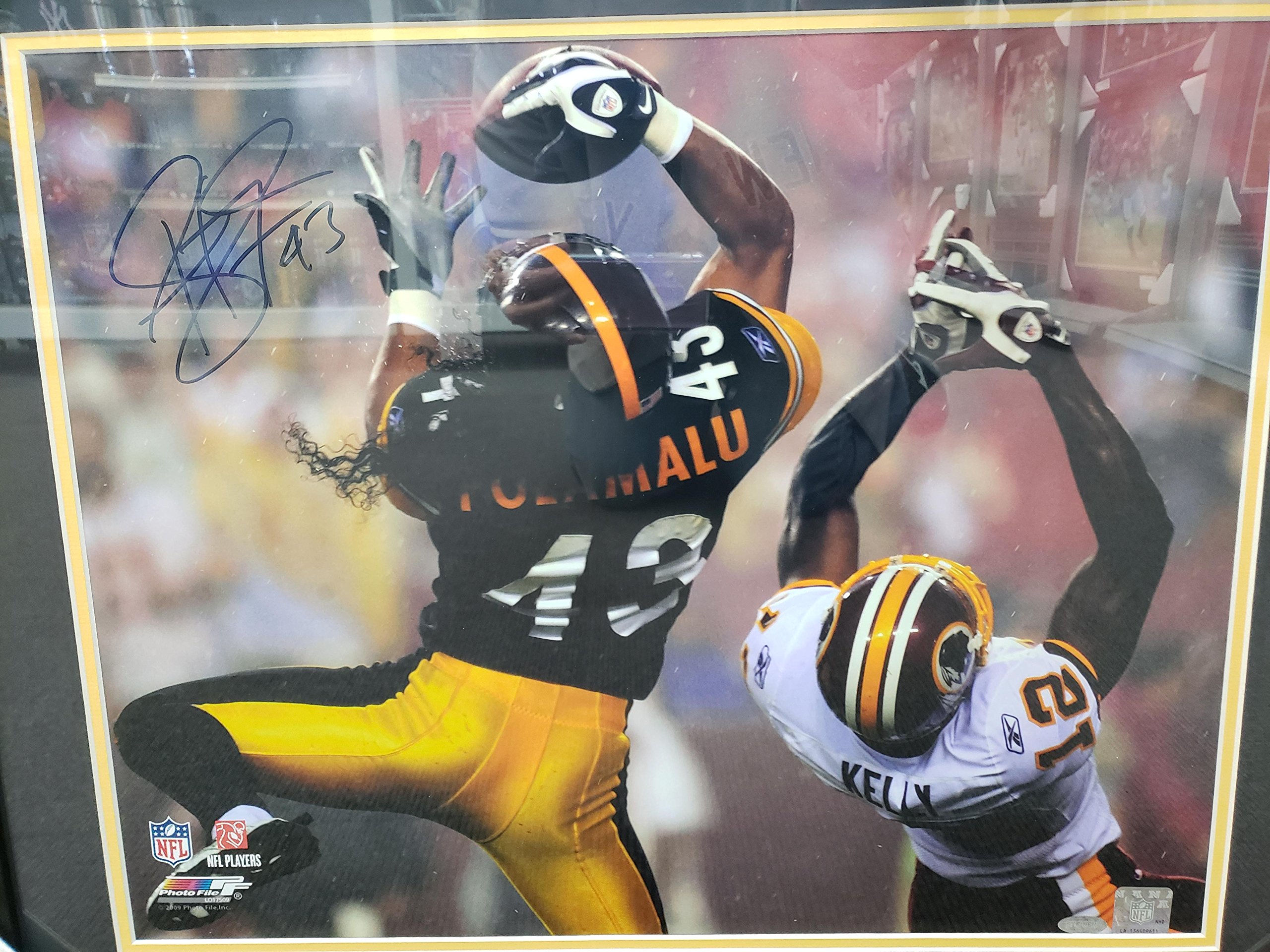 Troy Polamalu Interception
