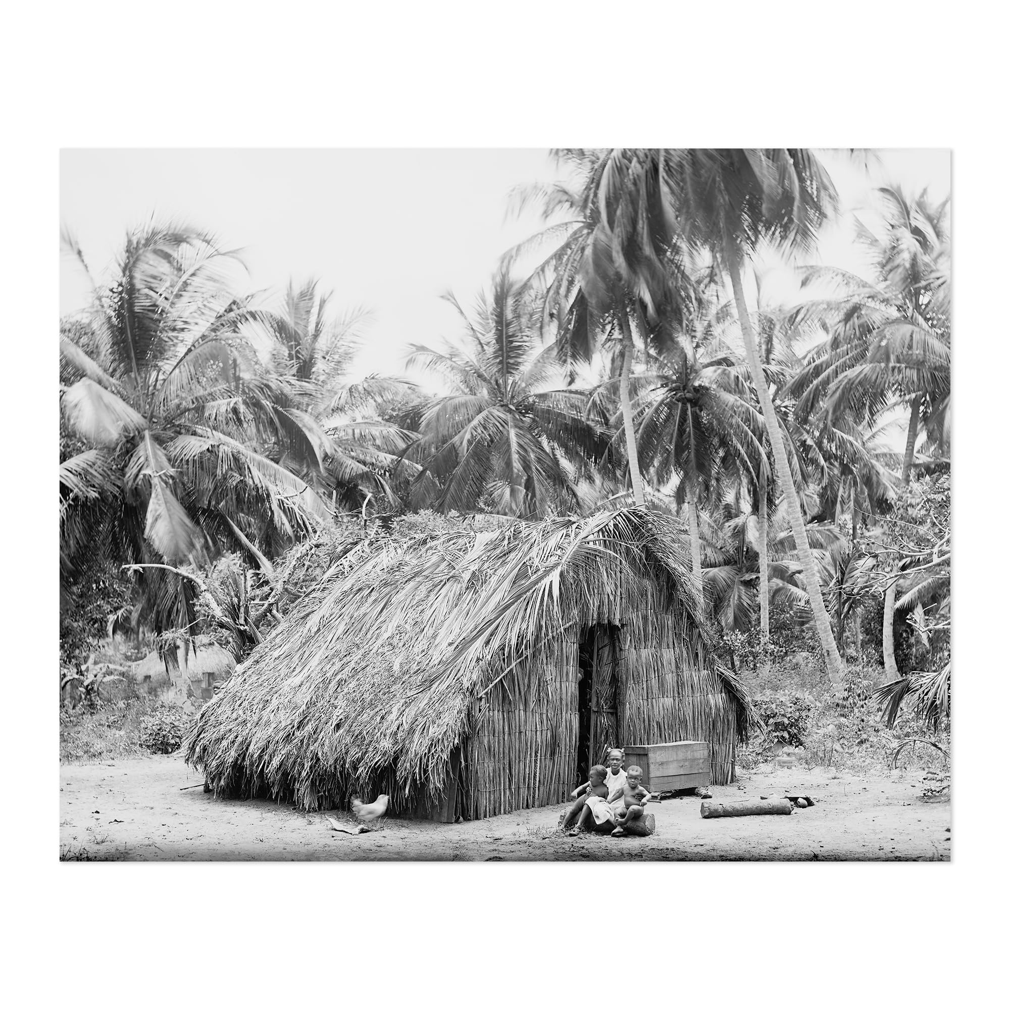Amazon.com: HISTORIX Vintage 1903 Typical Puerto Rican Hut Print Photo ...