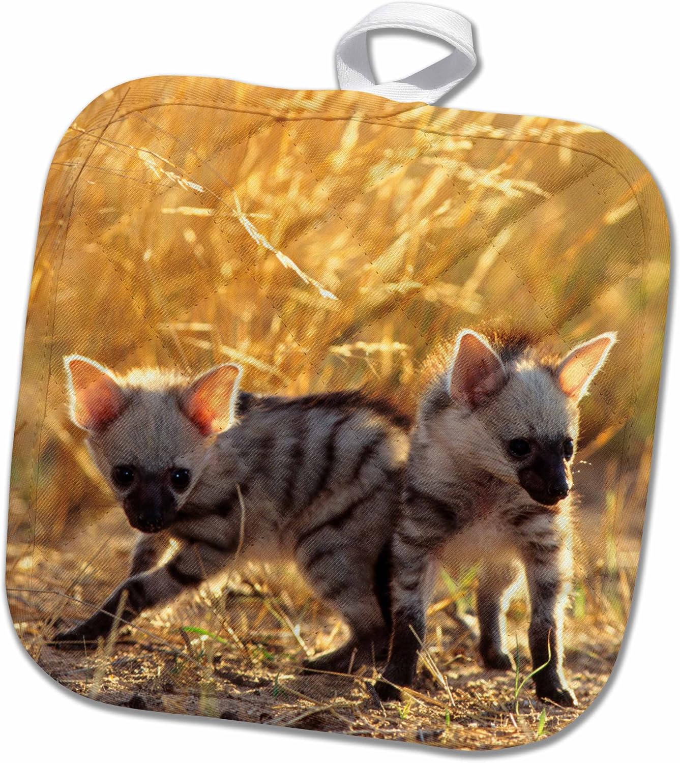 Amazon.com: 3D Rose PHL_207449_1 A Pair of Aardwolf Cubs at Play. Pot ...