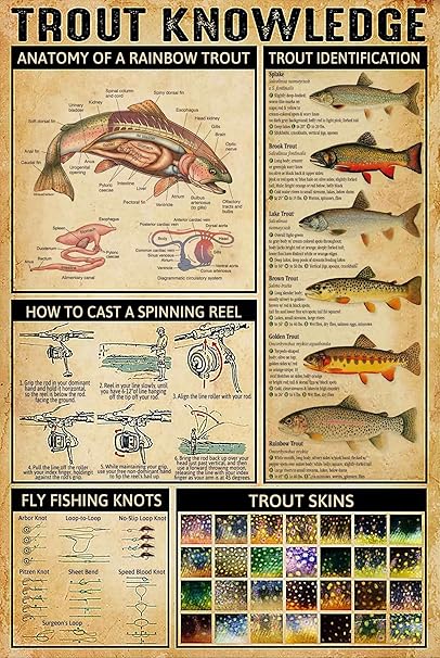 Amazon.com: Trout Knowledge Metal Poster Anatomy Of A Rainbow Trout ...