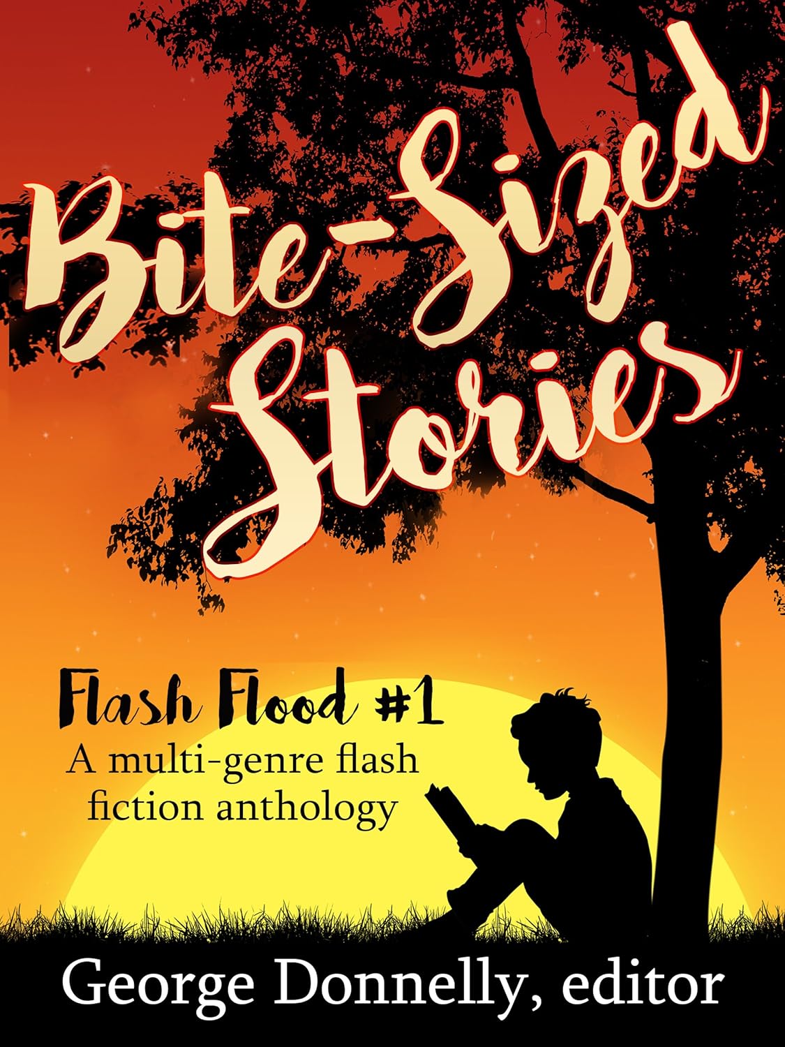 Amazon.com: Bite-Sized Stories: A Multi-Genre Flash Fiction Anthology ...