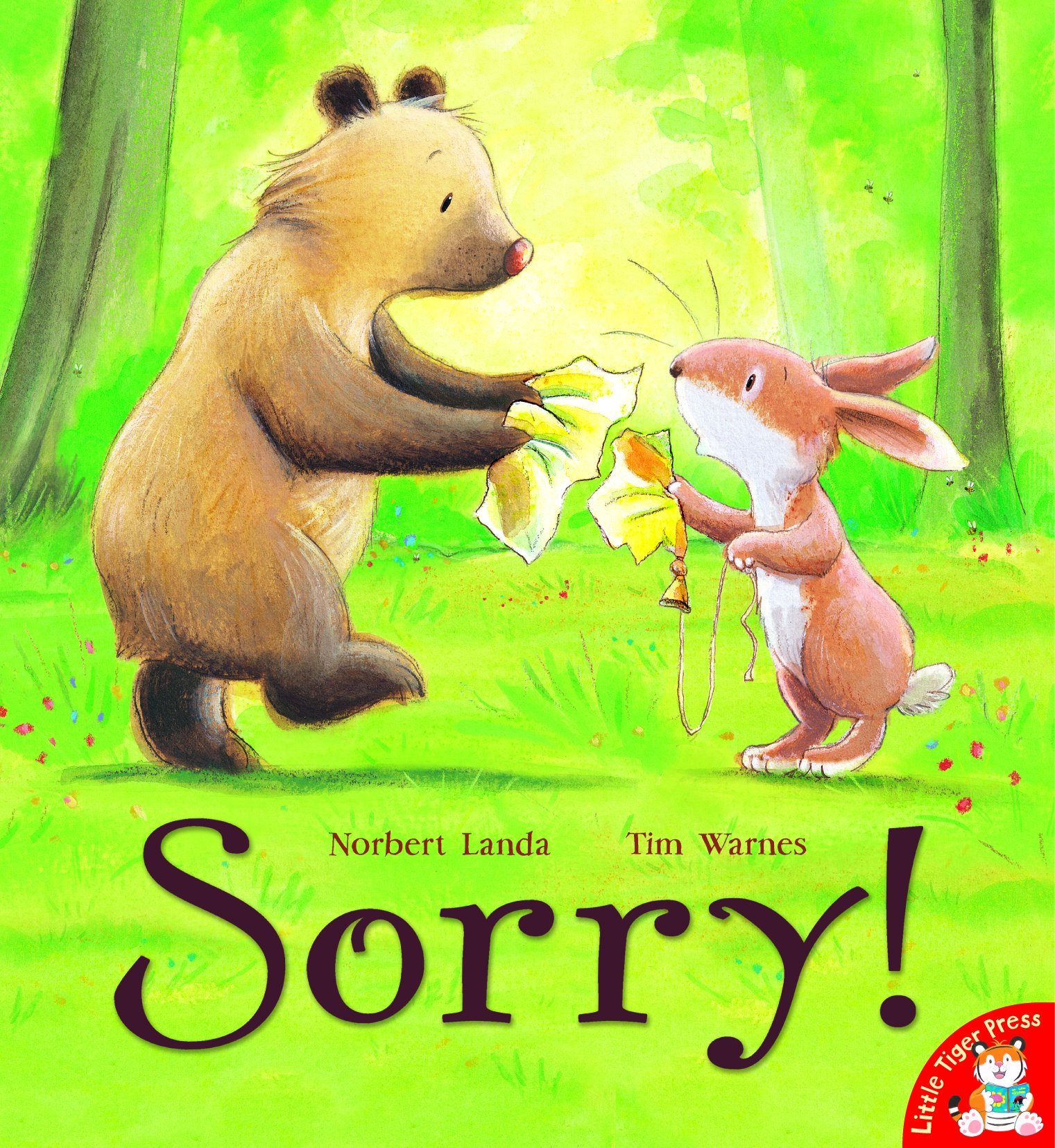 Sorry!: Amazon.co.uk: Landa, Norbert, Warnes, Tim: 9781845068516: Books