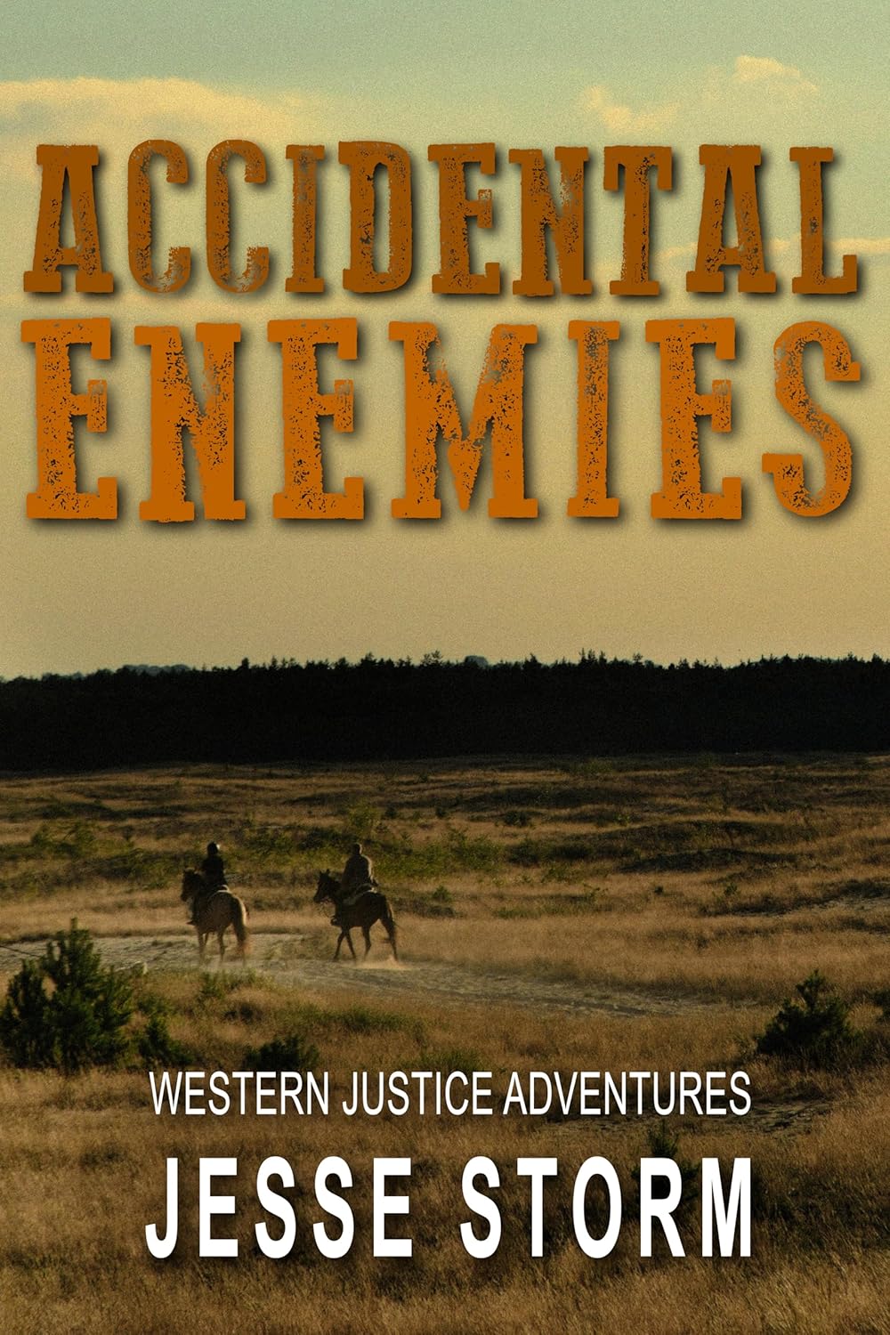 Accidental Enemies (Western Justice Adventures) - Kindle edition by ...