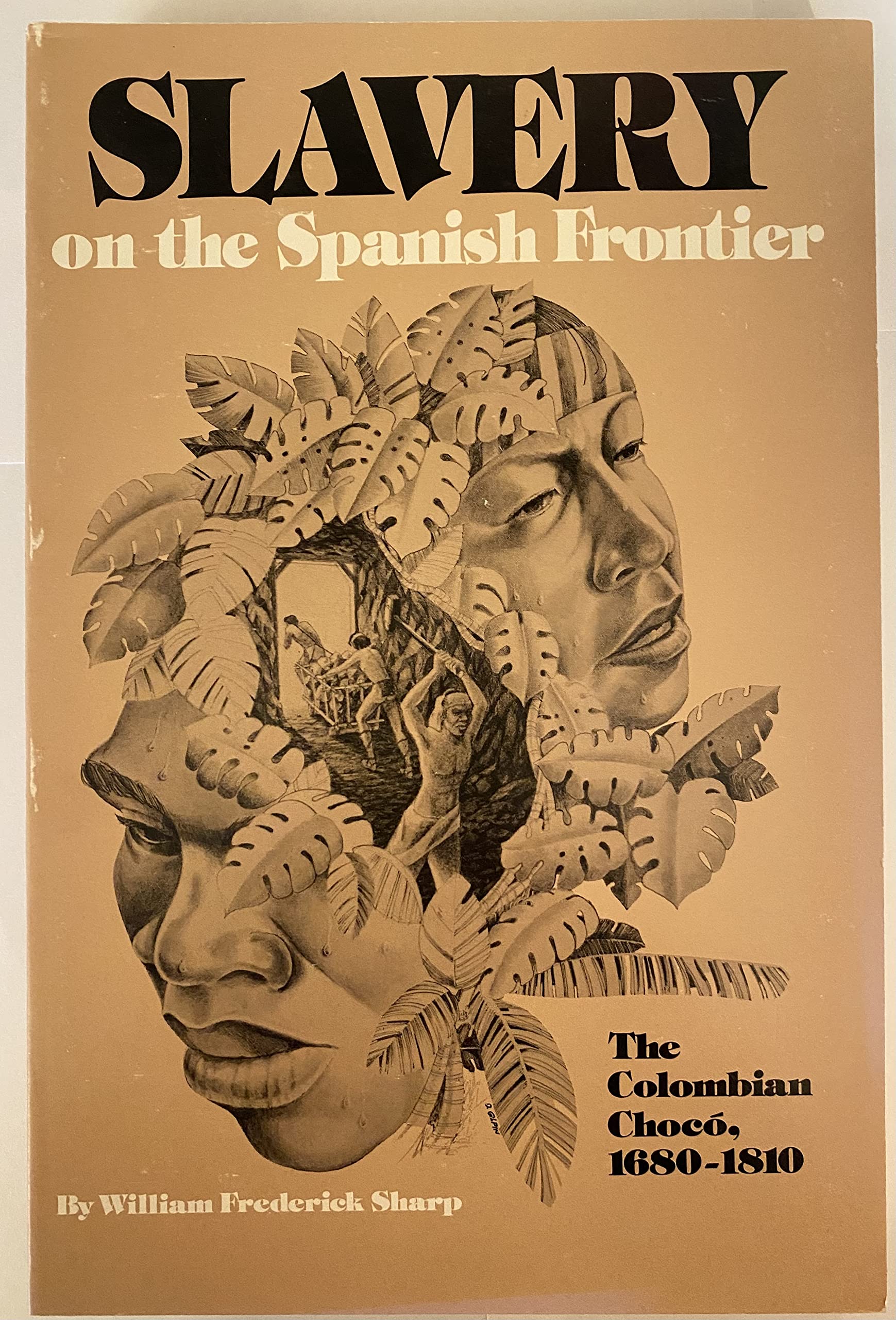 Amazon.com: Slavery on the Spanish Frontier: The Colombian Choco, 1680 ...