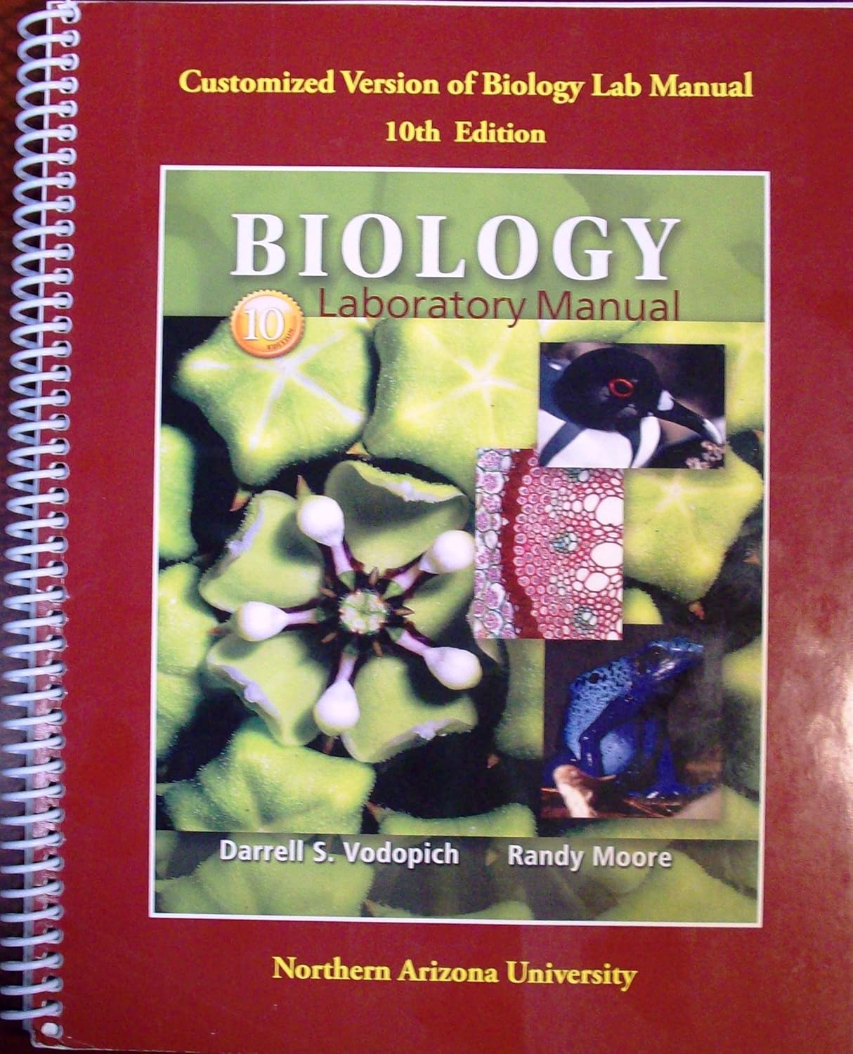 Biology Laboratory Manual 10th Edition Northern Arizona University ...