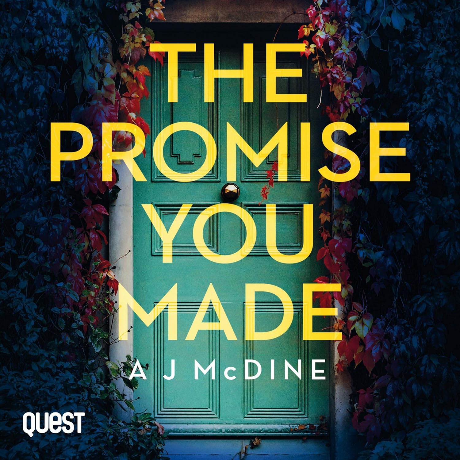 Amazon.com: The Promise You Made (Audible Audio Edition): A.J. McDine ...