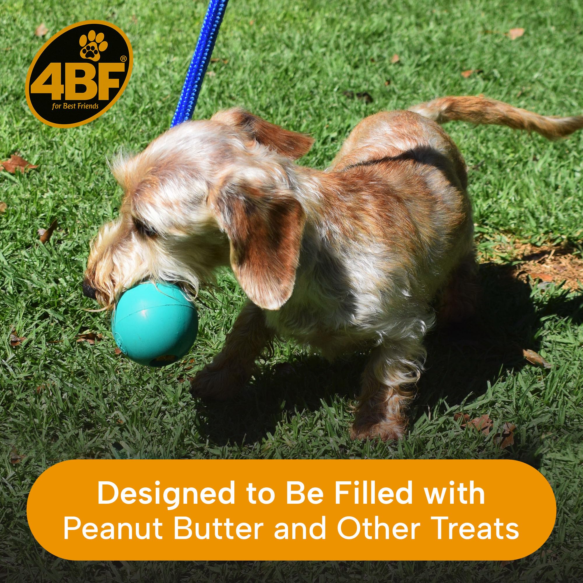 Snapklik.com : Crazy Bounce Ball On A Rope, Natural Rubber Dog Ball ...