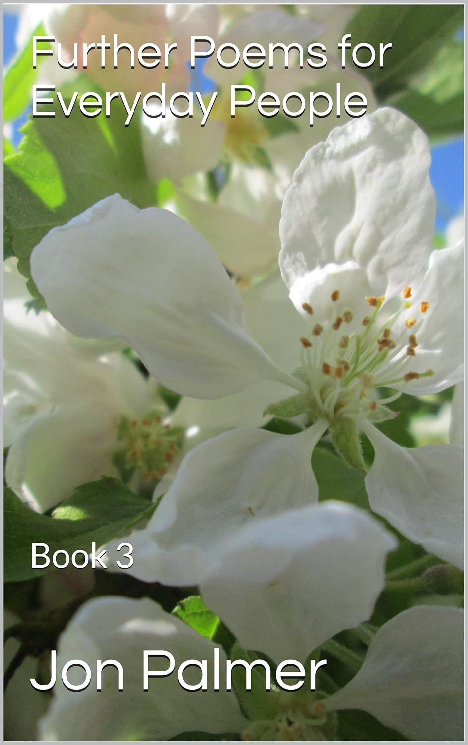 Further Poems for Everyday People: Book 3 - Kindle edition by Palmer ...