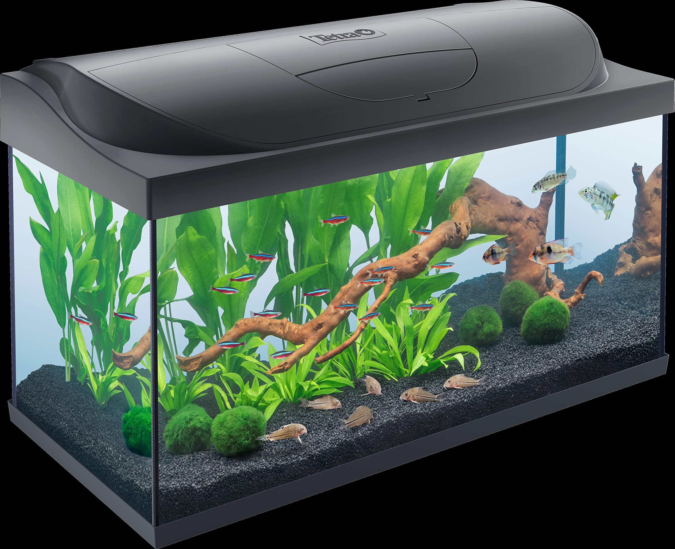 Superfish Start 70 Aquarium - Black : Amazon.co.uk: Pet Supplies