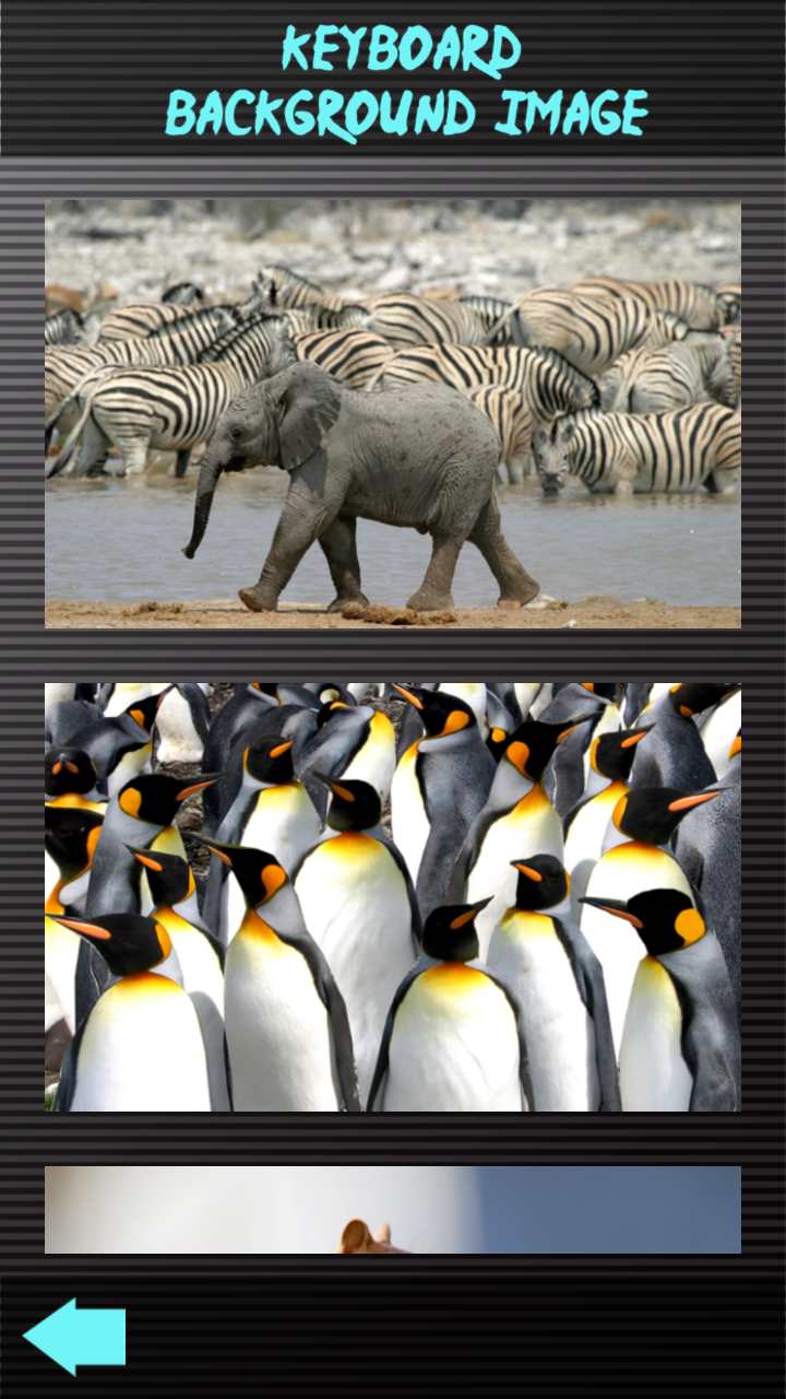 Cute Animal Keyboards - App on the Amazon Appstore