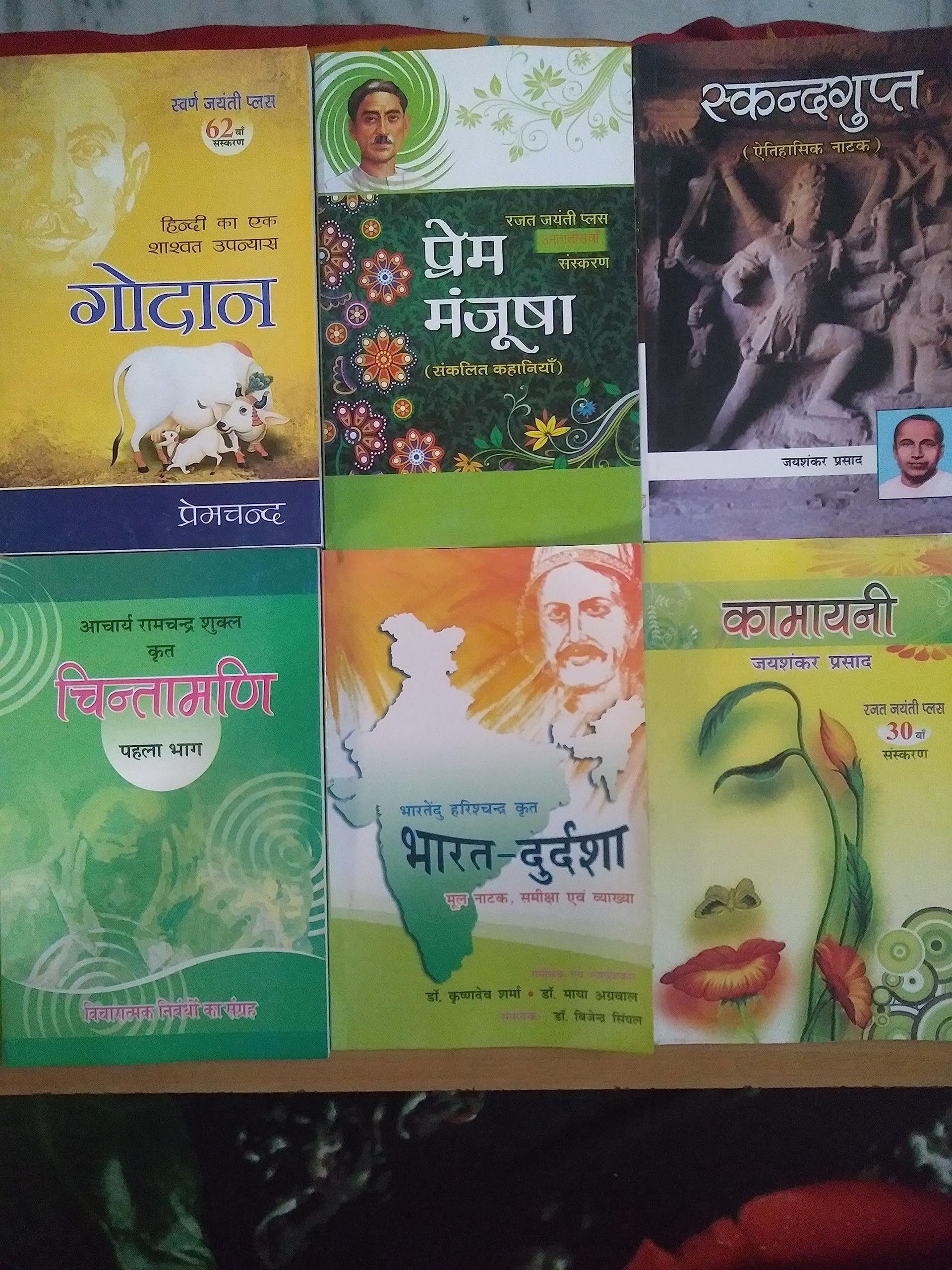 Buy UPSC CIVIL SERVICES(HINDI OPTIONAL) COMBO SET OF 6 BOOKS- GODAN ...