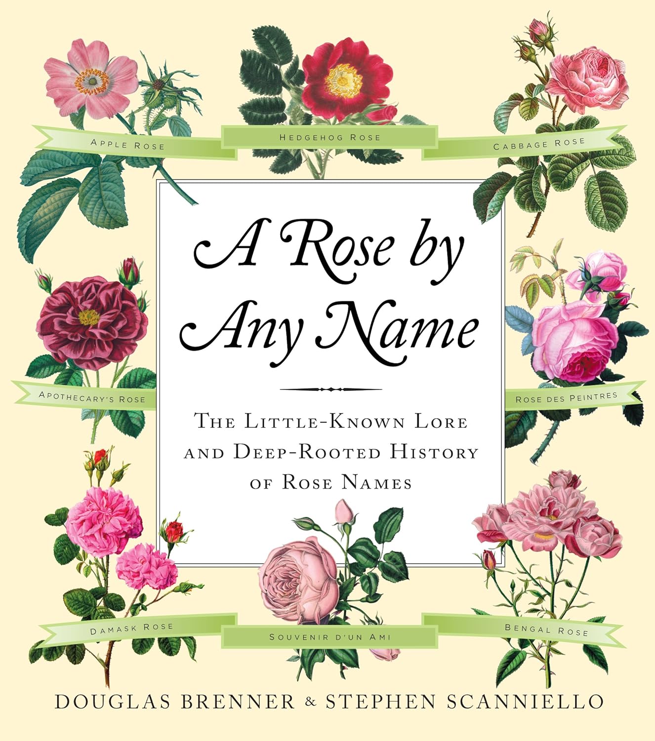 A Rose by Any Name: The Little-Known Lore and Deep-Rooted History of ...