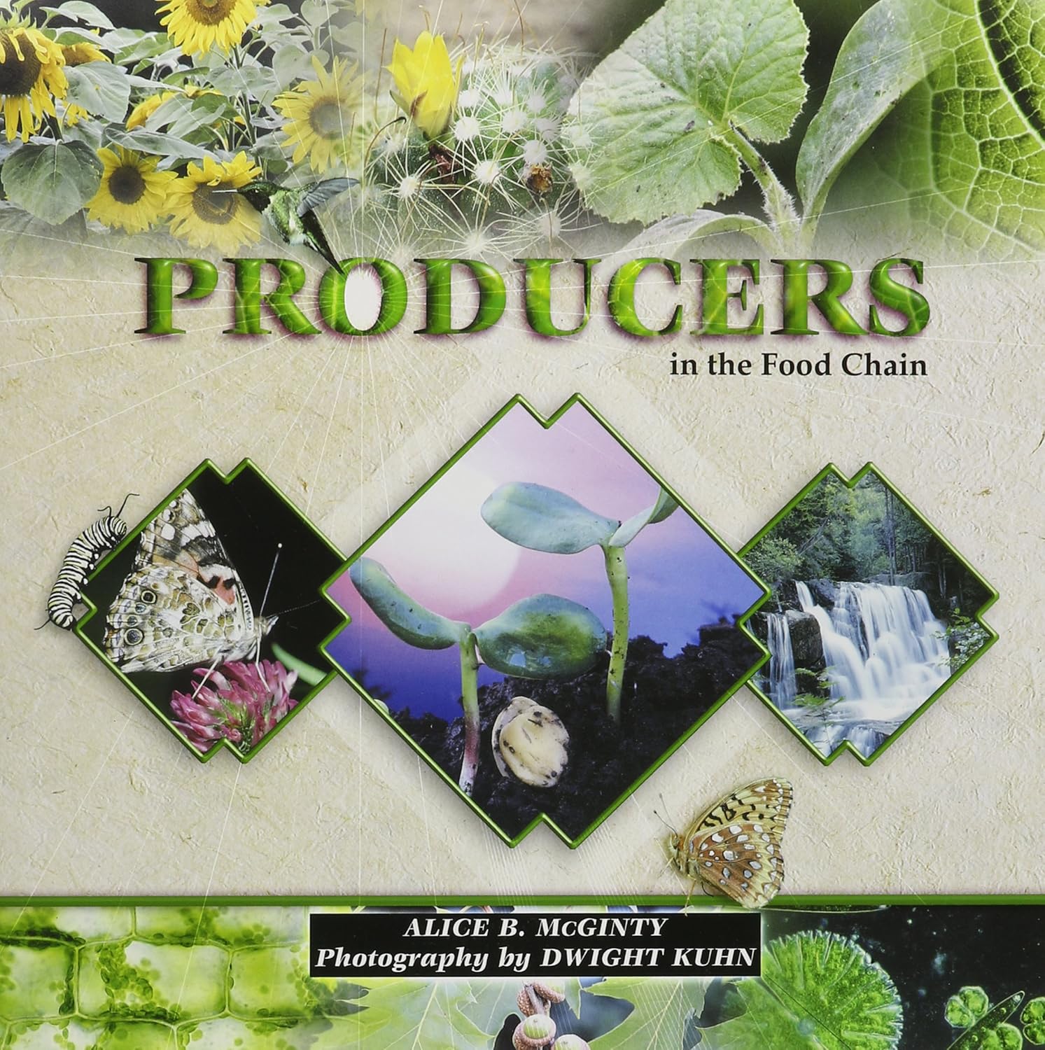 Producers in the Food Chain : Buy Online at Best Price in KSA - Souq is ...