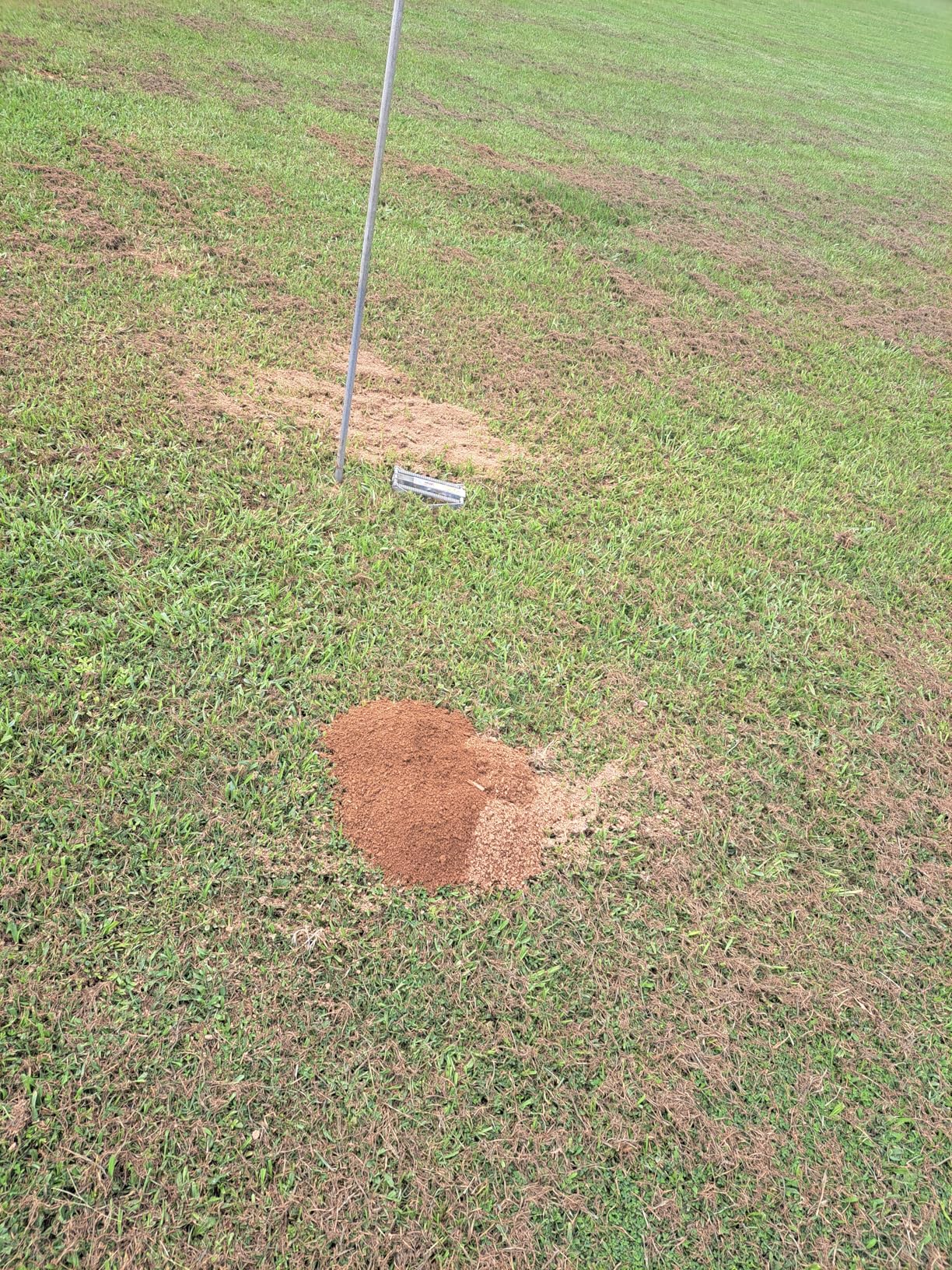 Amazon.com: Amdro Gopher Gasser Sticks -1 Package (6 Sticks Total ...