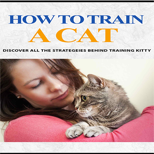 How To Train A Cat : Learn All The Strategies Behind Training Kitty ...