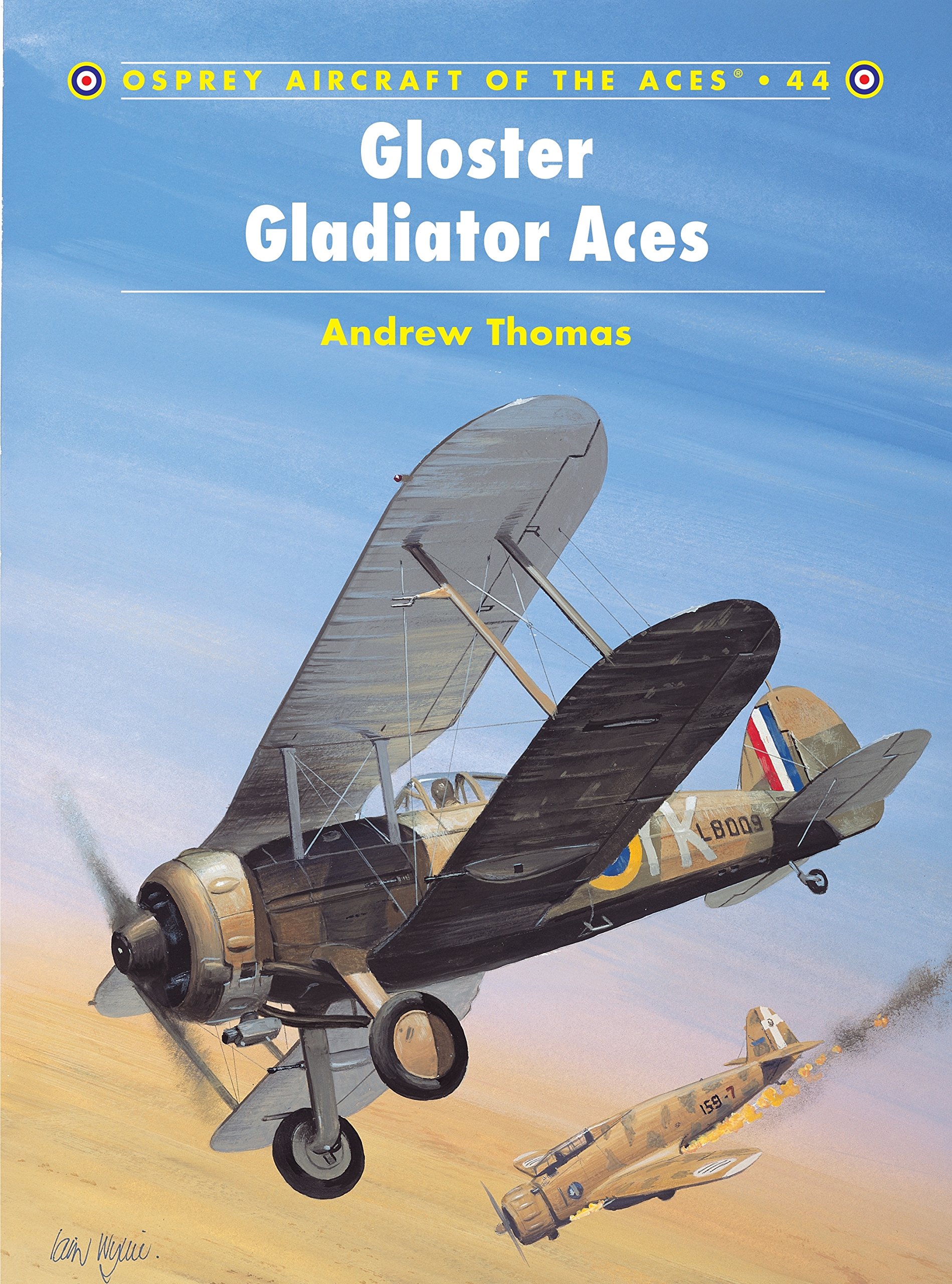 Gloster Gladiator Aces (Osprey Aircraft of the Aces No 44) (Aircraft of ...