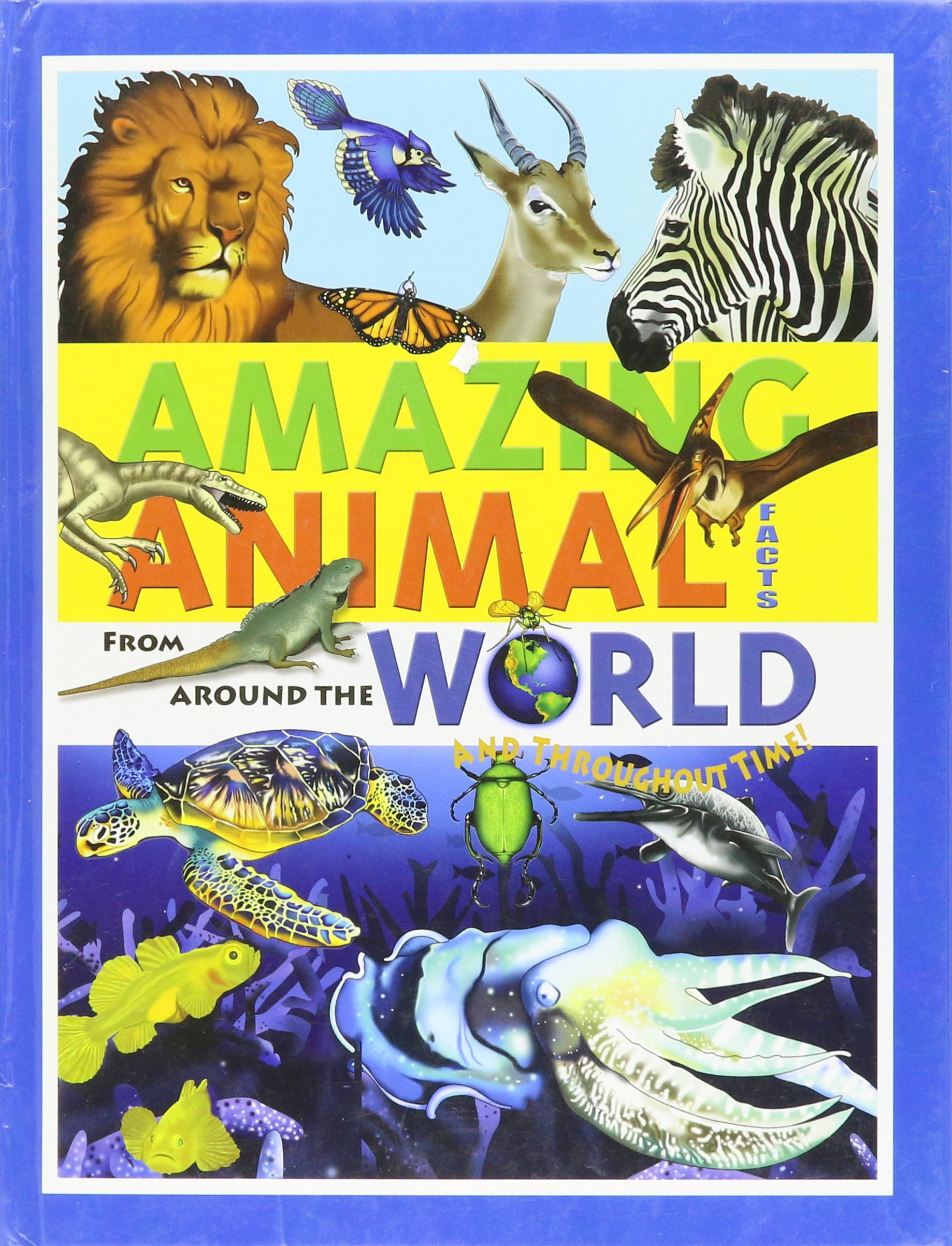 Amazing Animals From Around The World Profile For Amazing Animal Facts