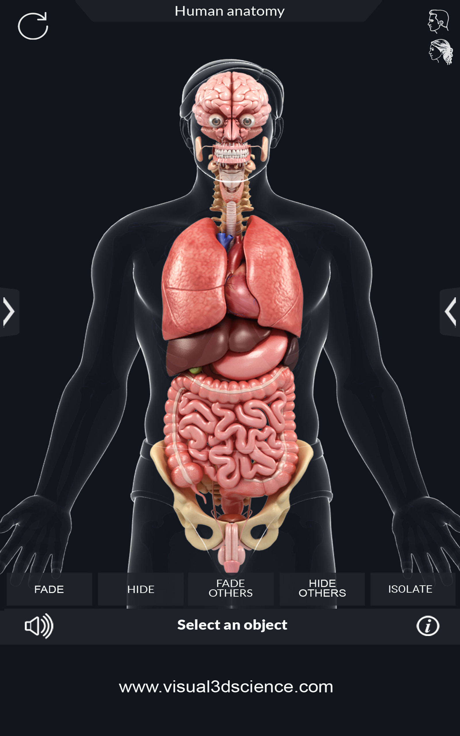 My Organs Anatomy:Amazon.co.uk:Appstore for Android