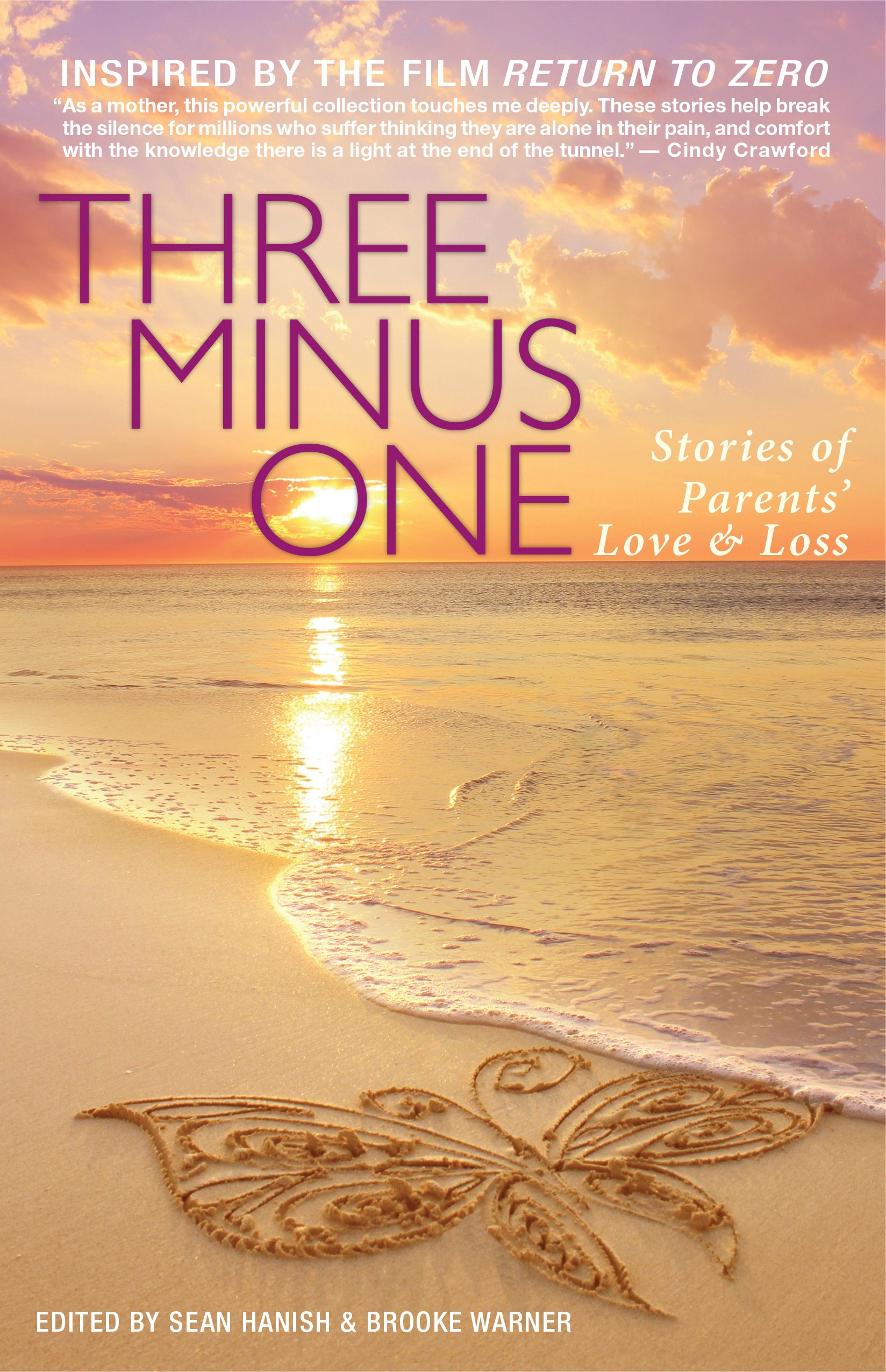 Three Minus One: Stories of Parents' Love and Loss: Sean Hanish, Brooke ...