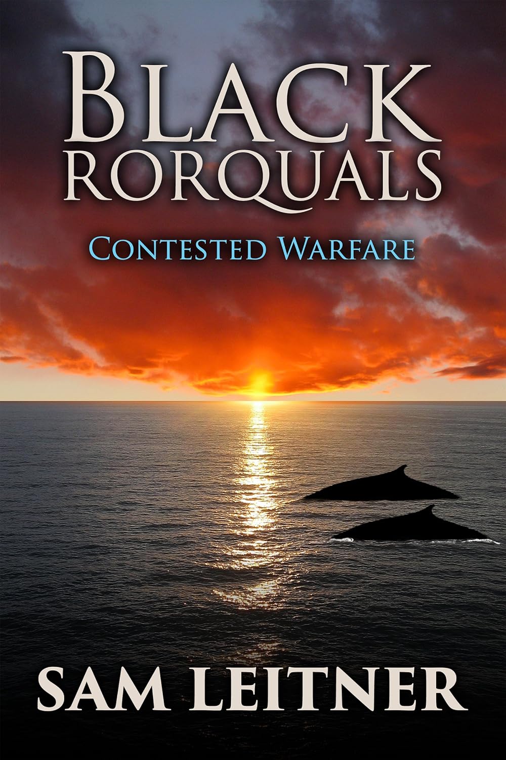 Amazon.com: Black Rorquals: Contested Warfare eBook : Leitner, Sam ...