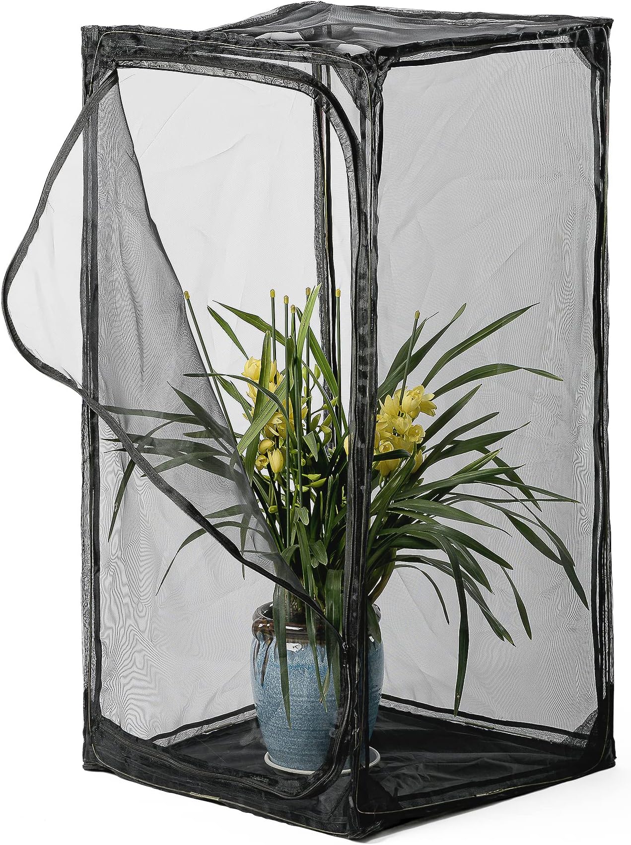 Amazon.com: Holly's Hobbies Butterfly Screenroom Cage & Nursery Habitat ...