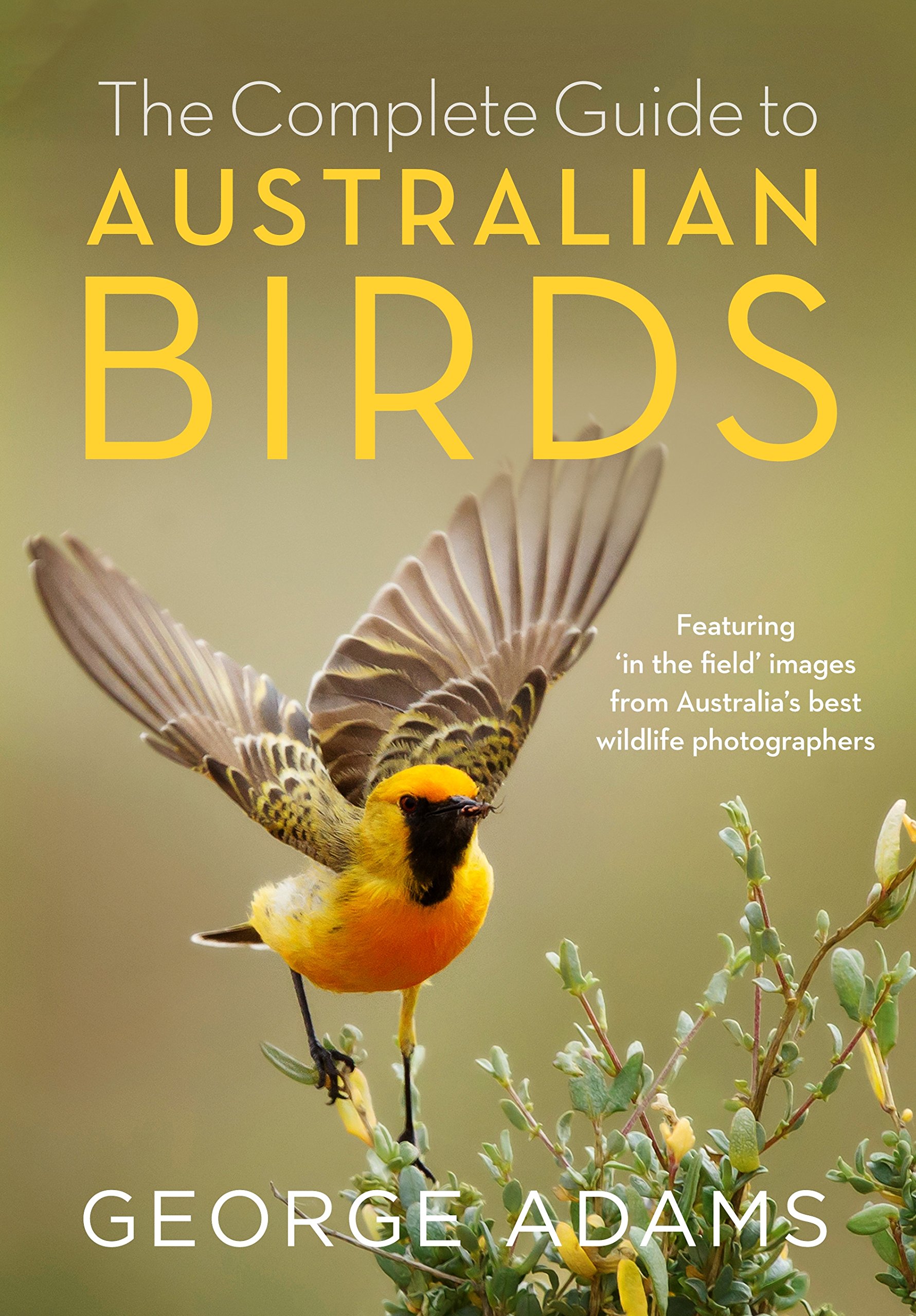 Complete Guide to Australian Birds: Adams, George: 9780143787082 ...