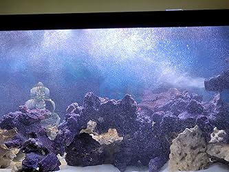 Amazon.com: Caribsea Life Rock Arches for Aquariums : Pet Supplies