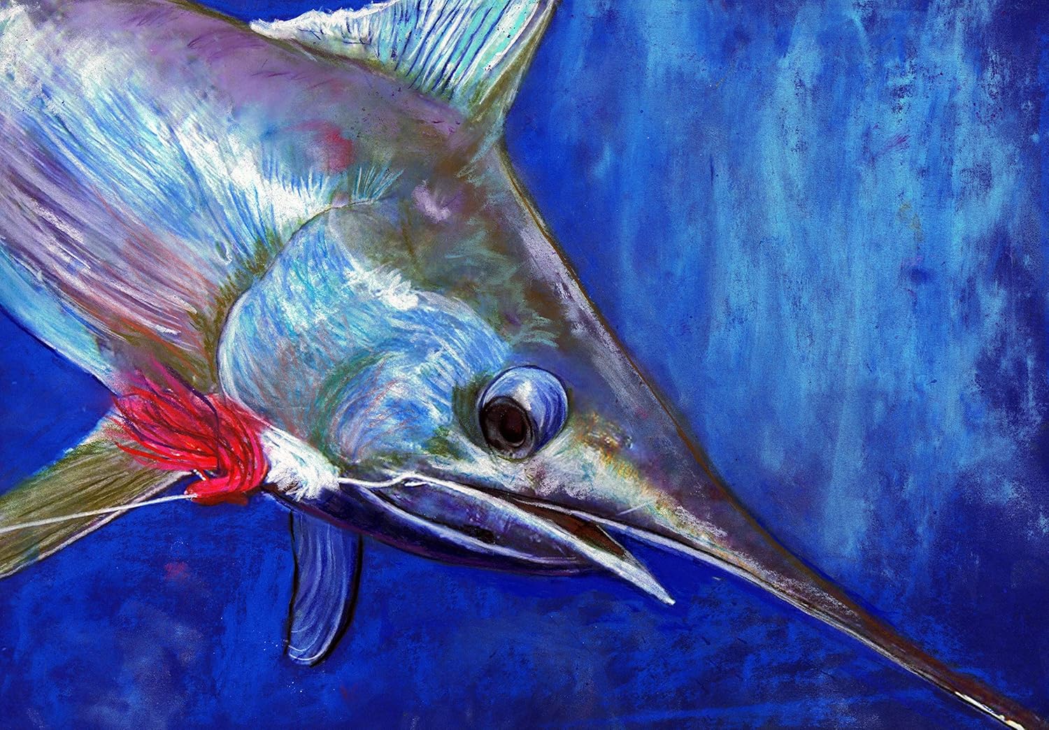 Amazon.com: Marlin Art, Billfish Fishing Wall Art Print, Hand Signed ...