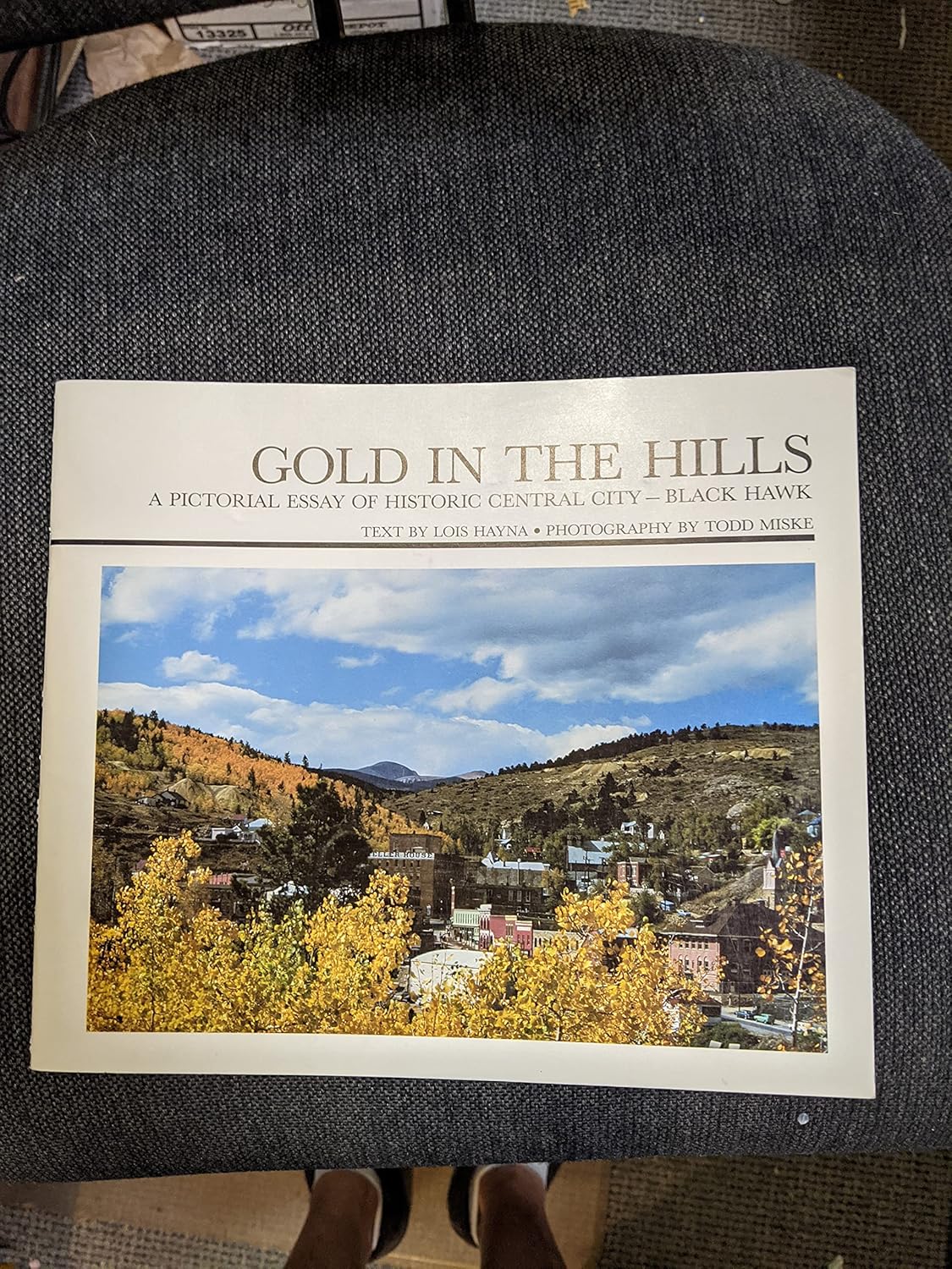 Gold in the hills: A pictorial essay of historic Central City-Black ...