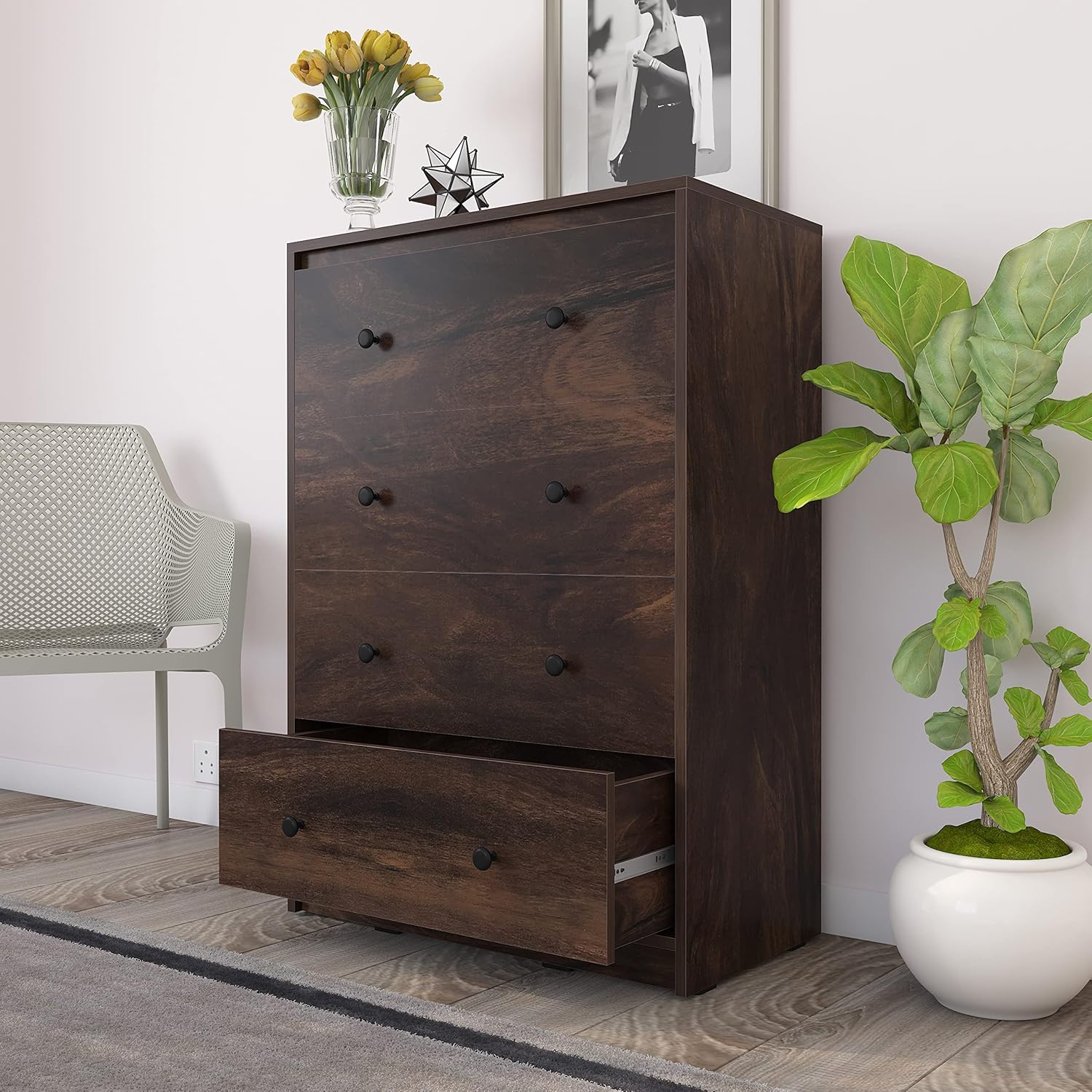 Studio Kook Avon Engineered Wood Chest of Drawers (Matte Finish ...