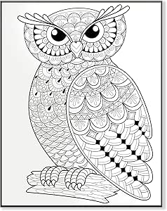 Amazon.com: The Stupell Home Decor Collection Wise Owl on A Log DIY ...
