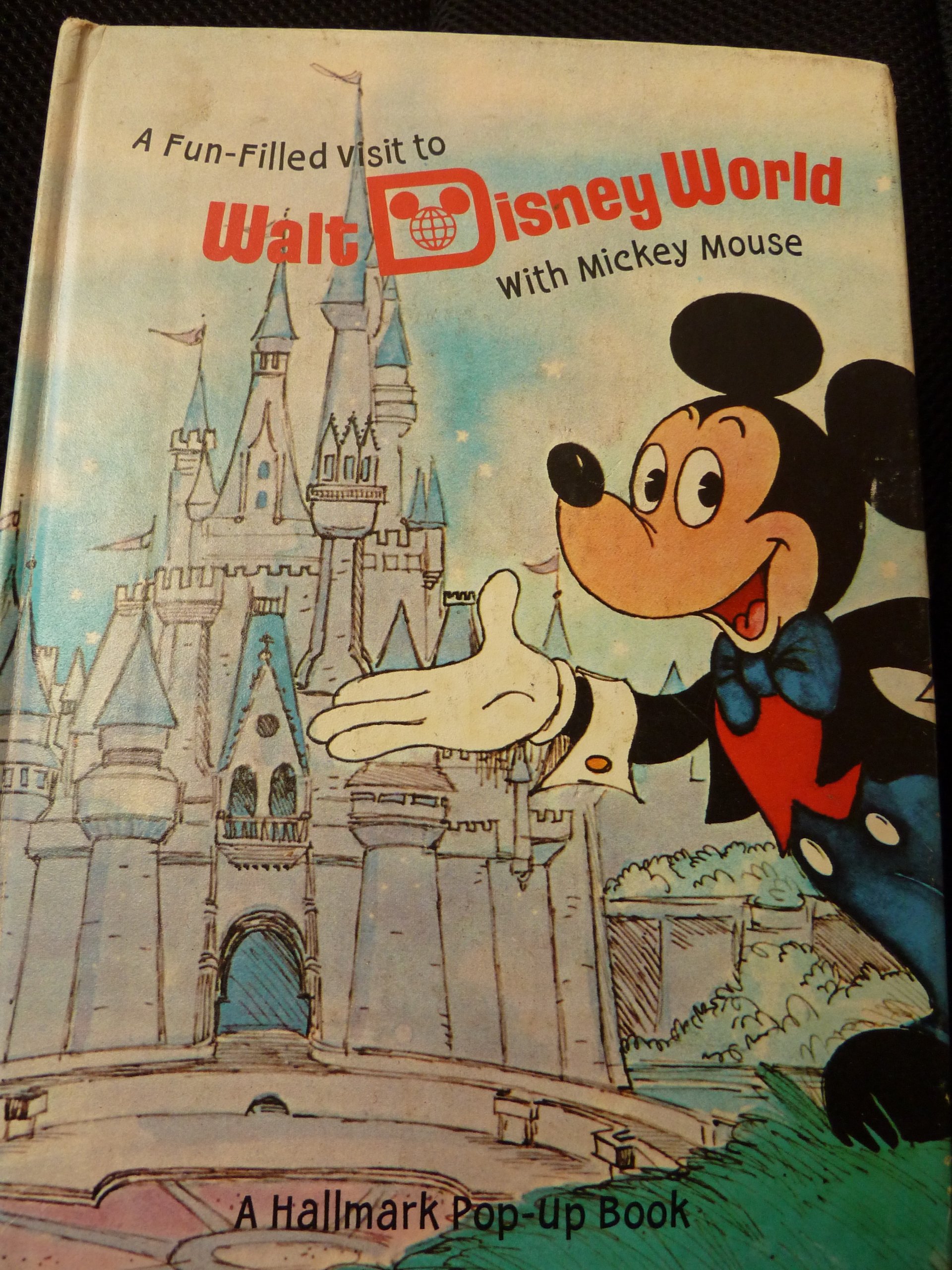 A fun-filled visit to Walt Disney World with Mickey Mouse (Hallmark ...