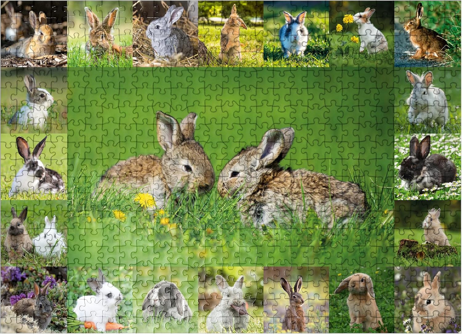 Amazon.com: MyPuzzle Bunnies & Rabbits - Collage No. 5 - Premium 500 ...