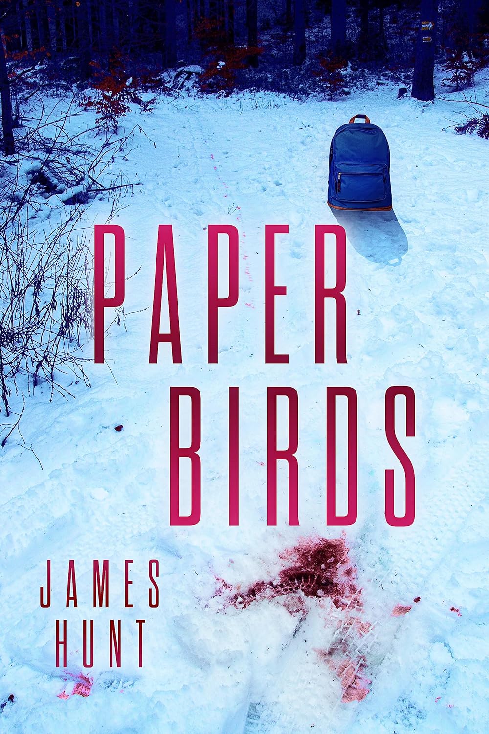 Amazon.com: Paper Birds: A Small Town Riveting Kidnapping Mystery ...