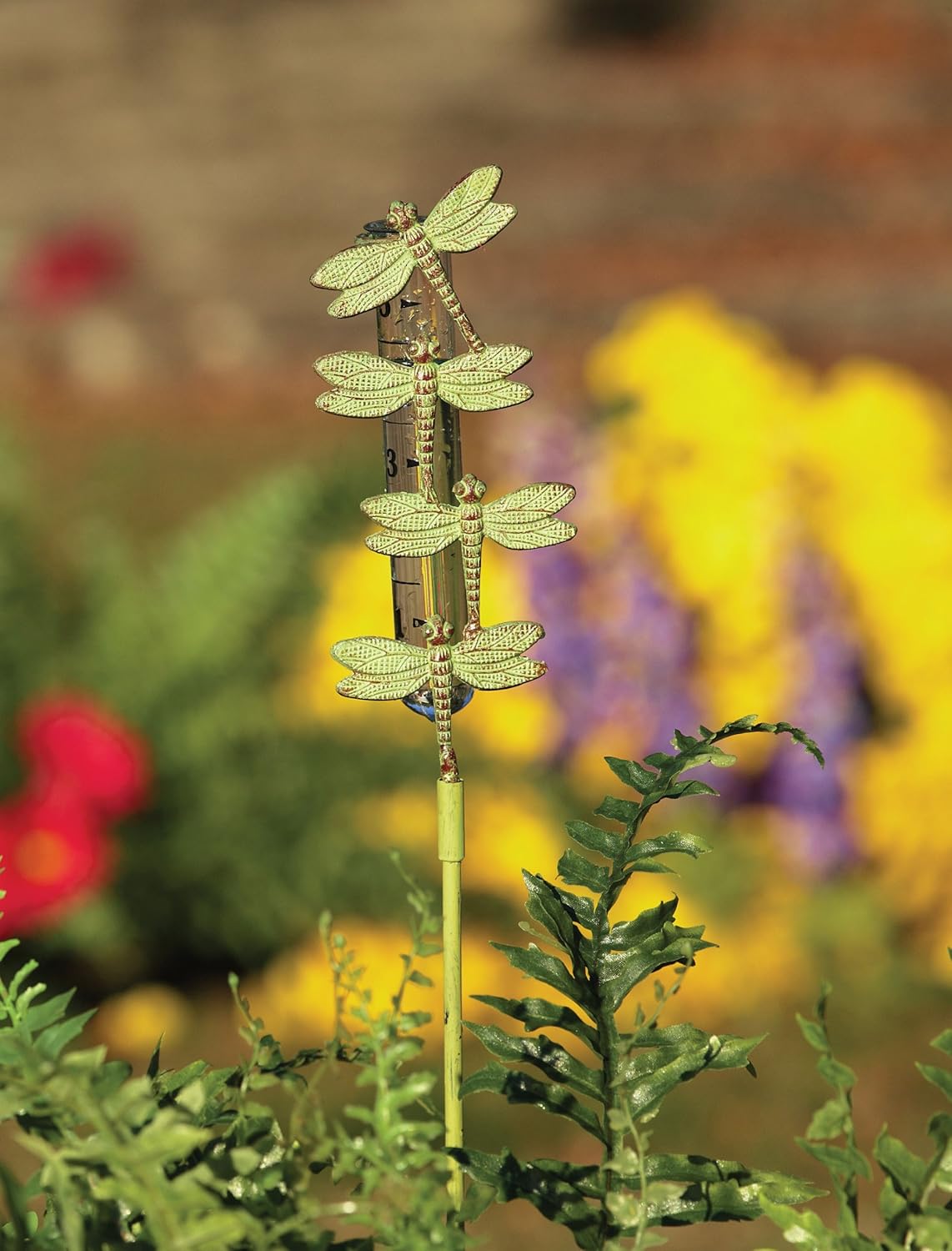 Amazon.com : Ancient Graffiti Cast Brass Staked Dragonfly Rain Gauge ...