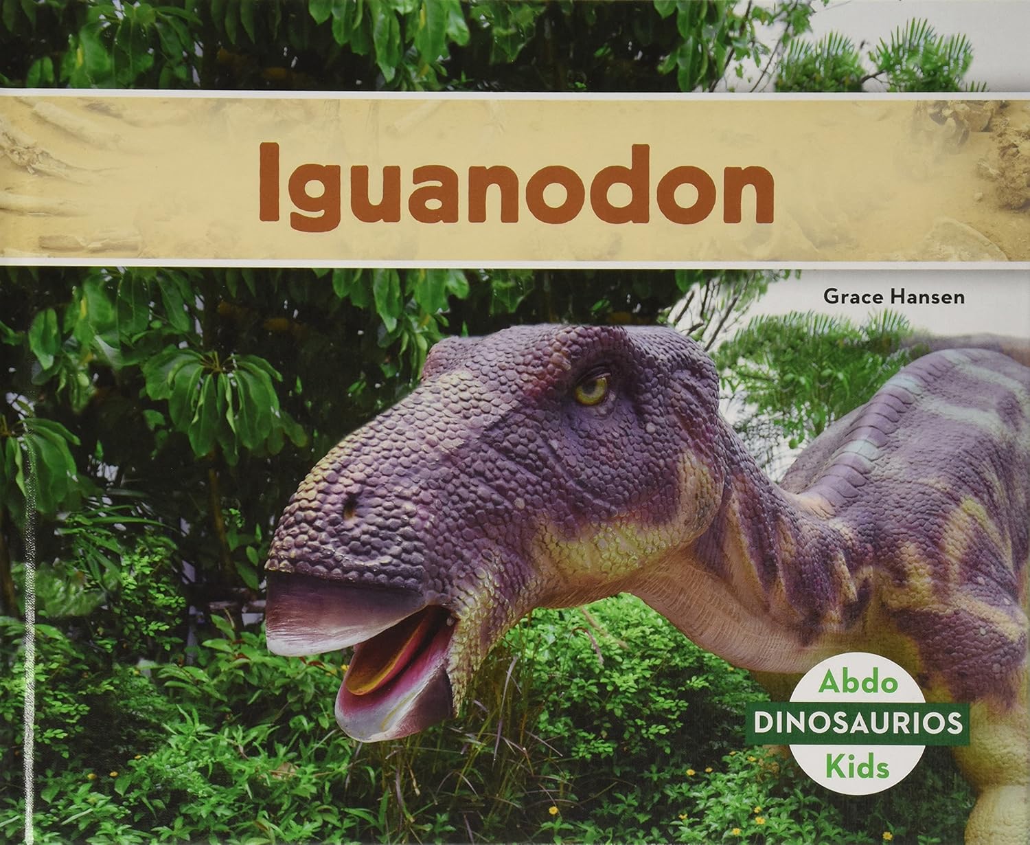 Amazon.com: Iguanodon (Iguanodon) (Dinosaurios Set 2 (Dinosaurs ...