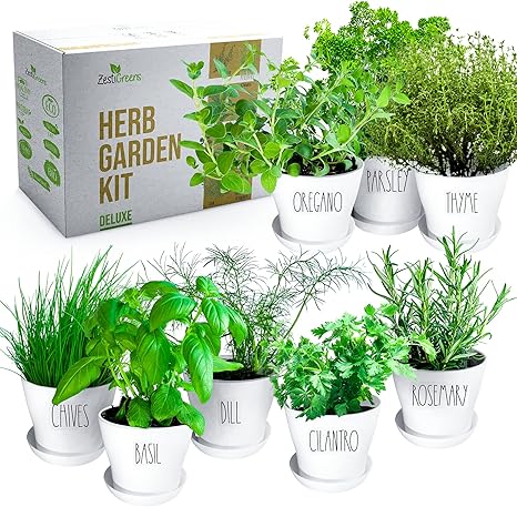 Amazon.com : Deluxe Herb Garden Kit – 8 Variety Herbs for Indoor ...