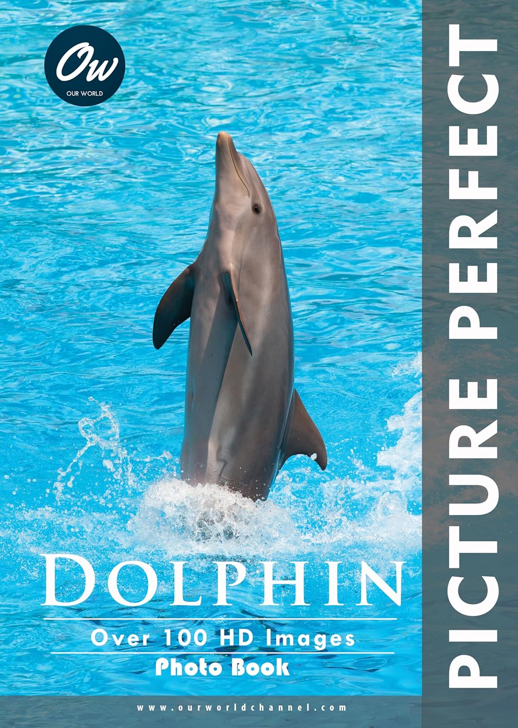 Amazon.com: Dolphin: Picture Perfect Photo Book eBook : World, Our ...