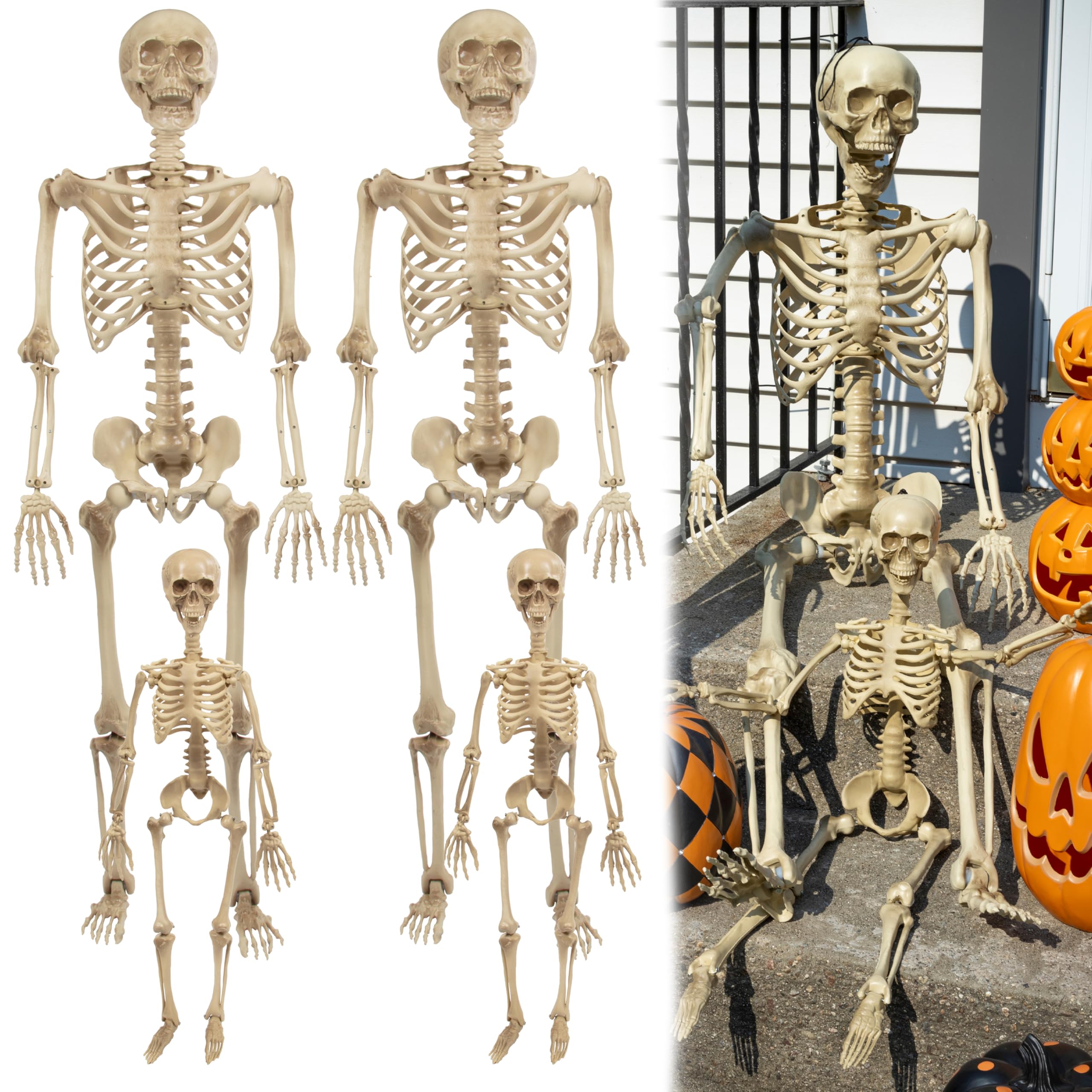 Amazon.com: Posable Life Size Human Skeleton Family 4pk- 2 Adult (5'4 ...