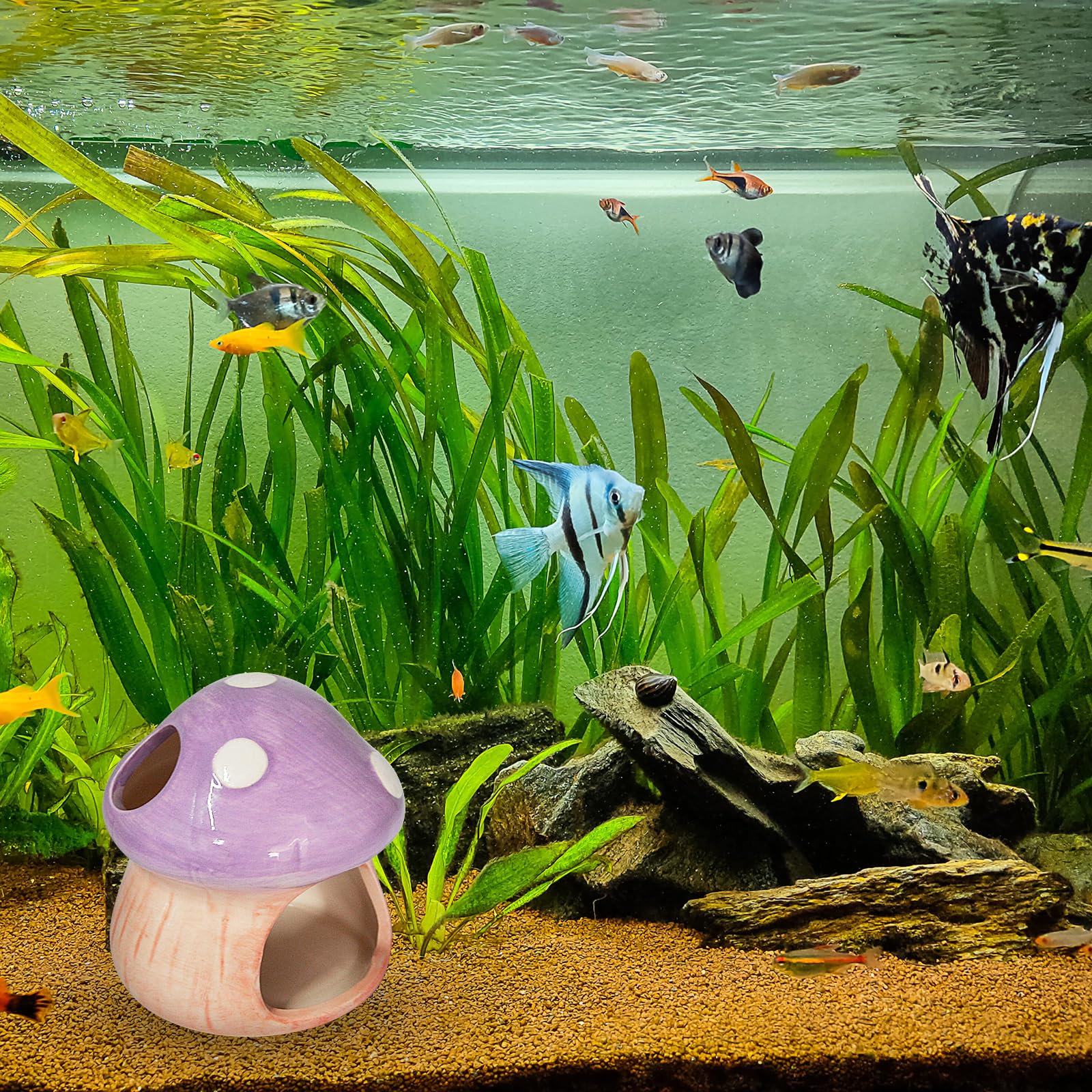 Snapklik.com : Ceramics Mushroom House Aquarium Decor, Betta Fish Tank ...
