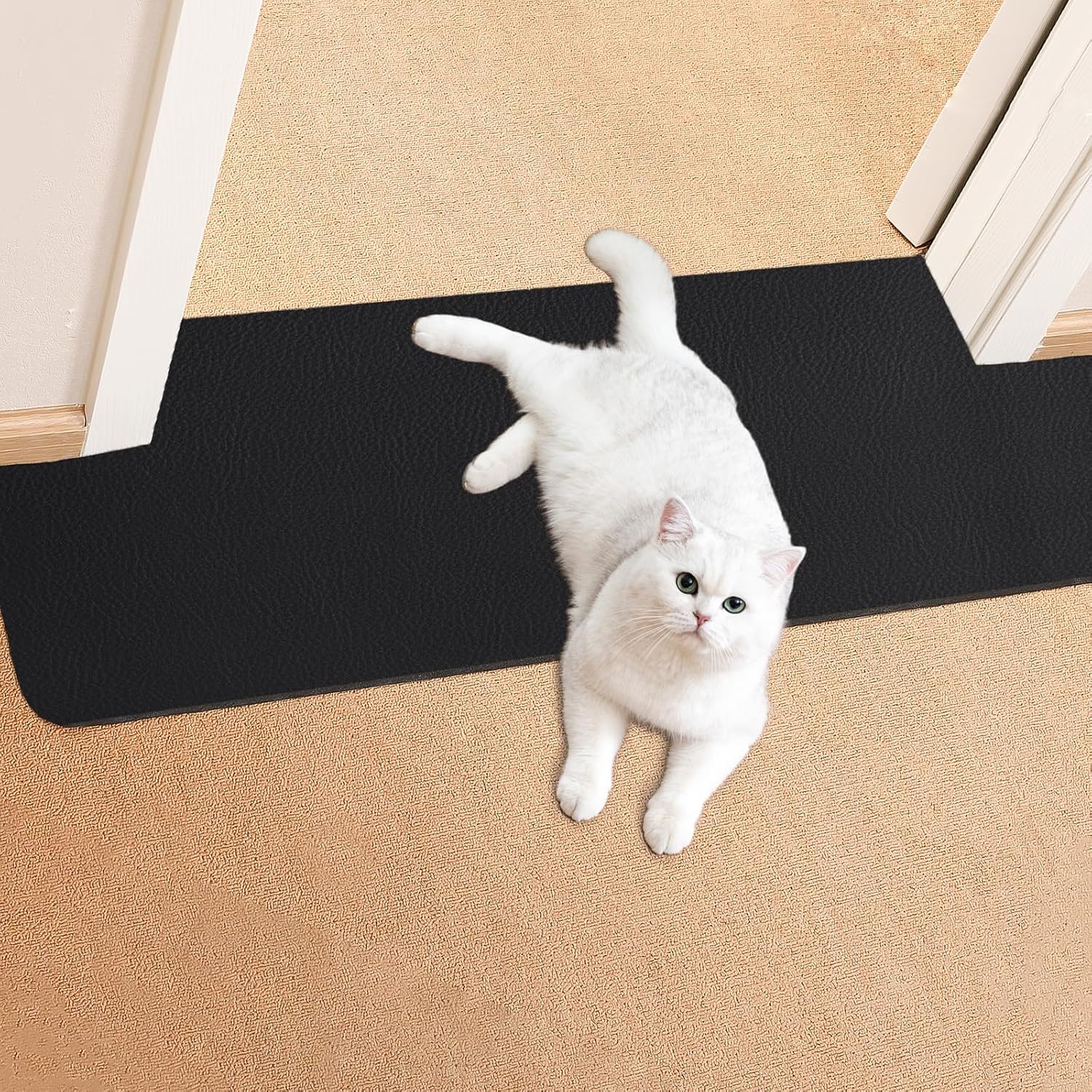 Amazon.com: Uross Carpet Protector for Pets -3.6FT 3PCS Black Round ...