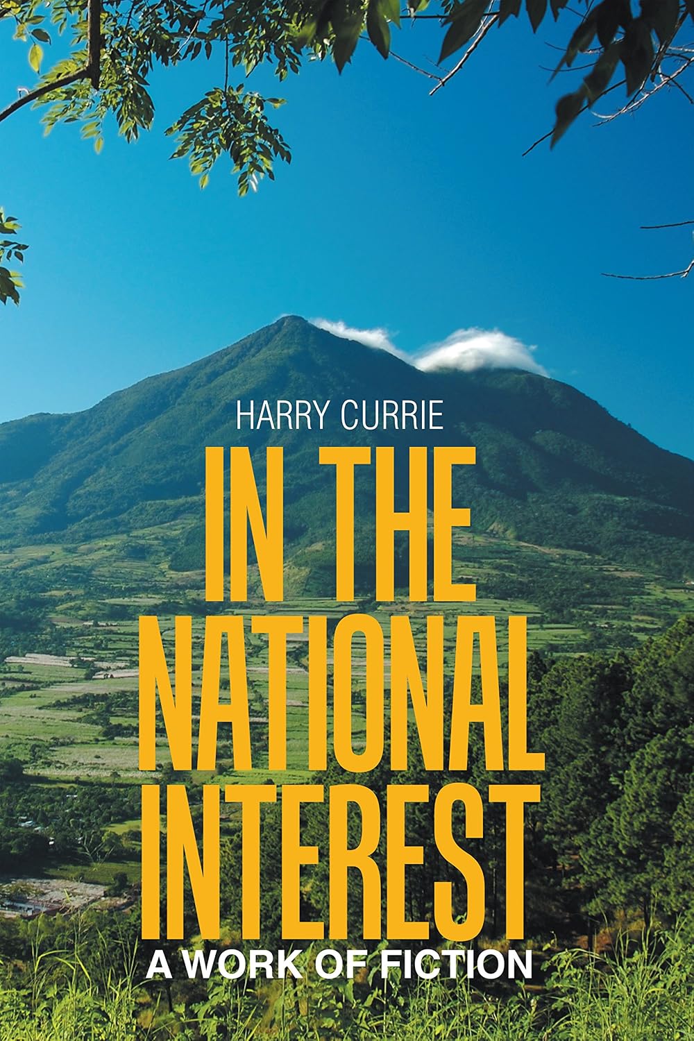 In the National Interest: A Work of Fiction - Kindle edition by Currie ...