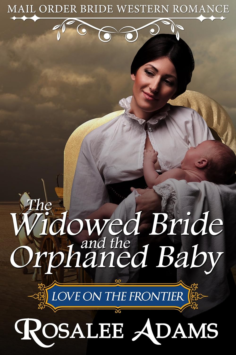 Amazon.com: The Widowed Bride and the Orphaned Baby eBook : Adams ...