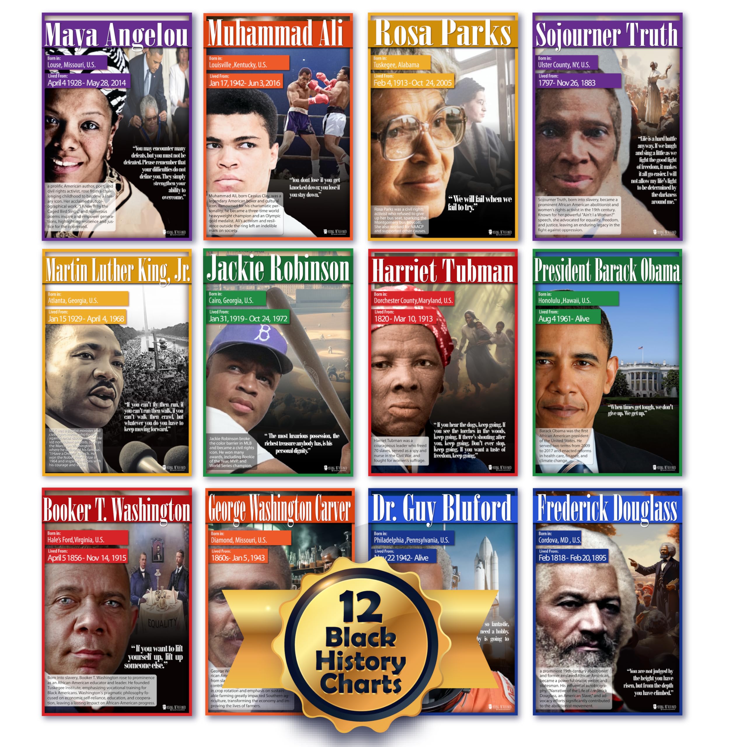 Snapklik.com : Black History Posters 12 Pack School LARGE Charts Laminated