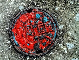 Amazon.com : Sigma DP-1 Merrill Digital Camera with 46 Megapixel, FOVEON X3 Direct Image Sensor ...